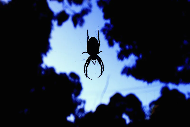 About 7,000 Insects Were Stolen From A Philadelphia Museum & The FBI ...