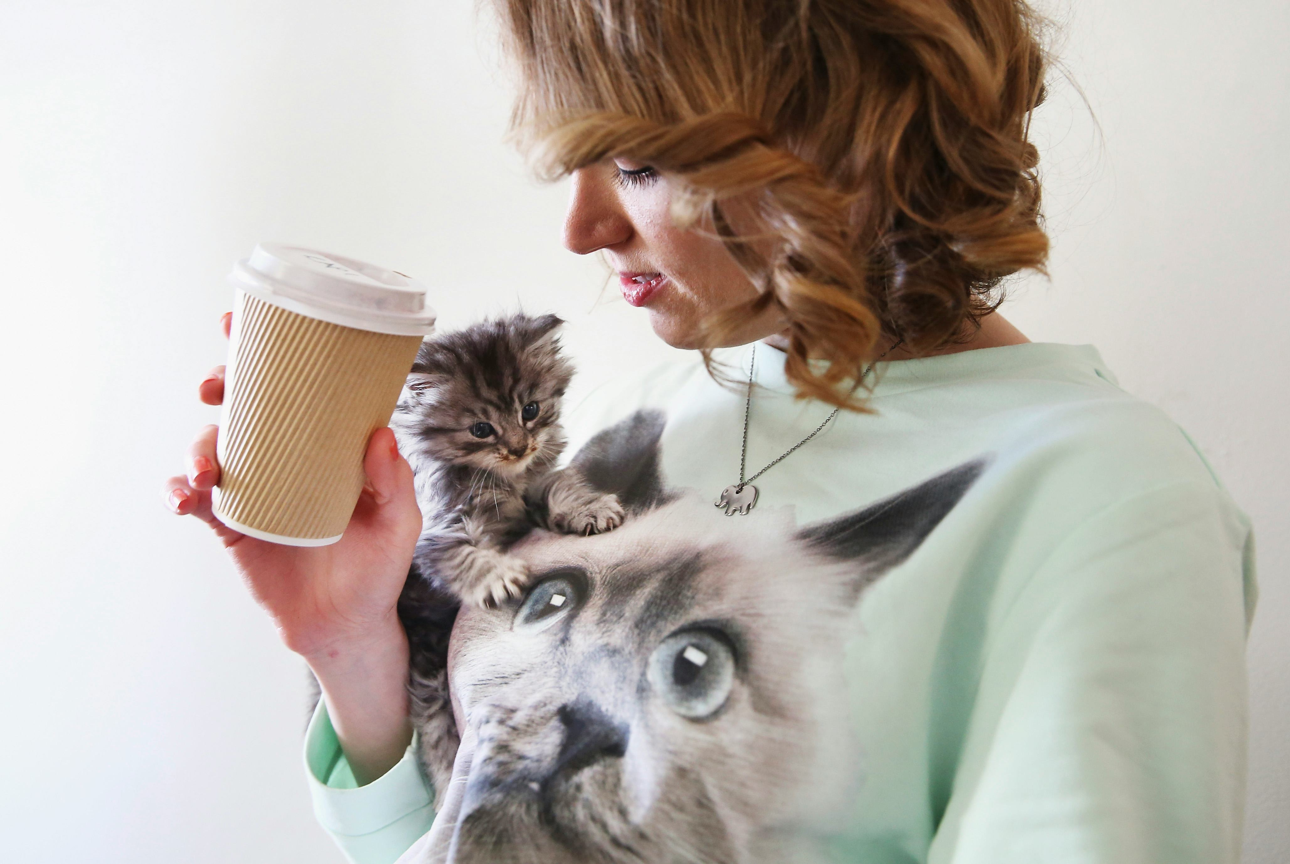 9 Animals That Can Connect With Humans