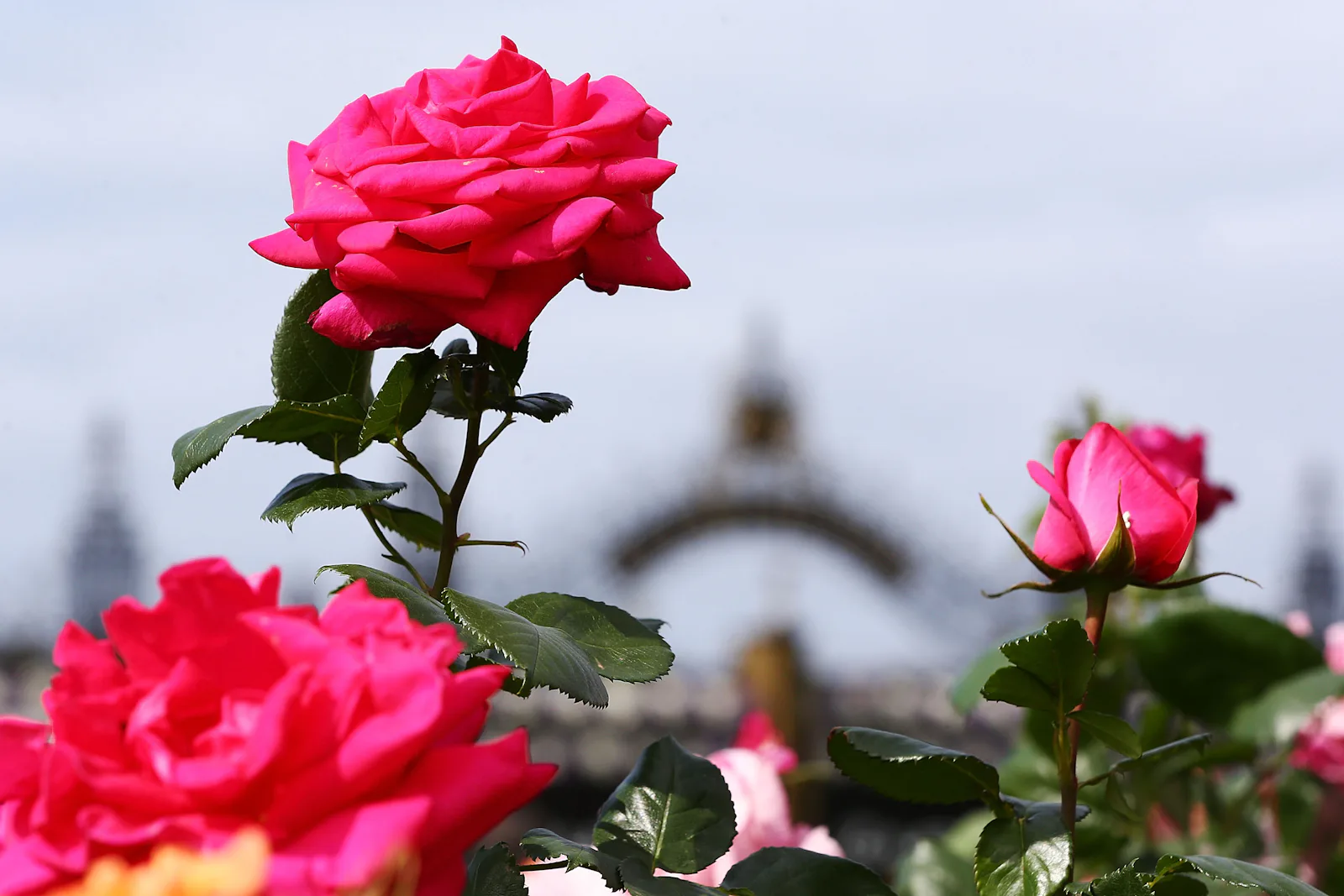 3 Zodiac Signs That Will Have The Best Valentine s Day 2019 3-zodiac-signs-that-will-have-the-best-valentine-s-day-2019