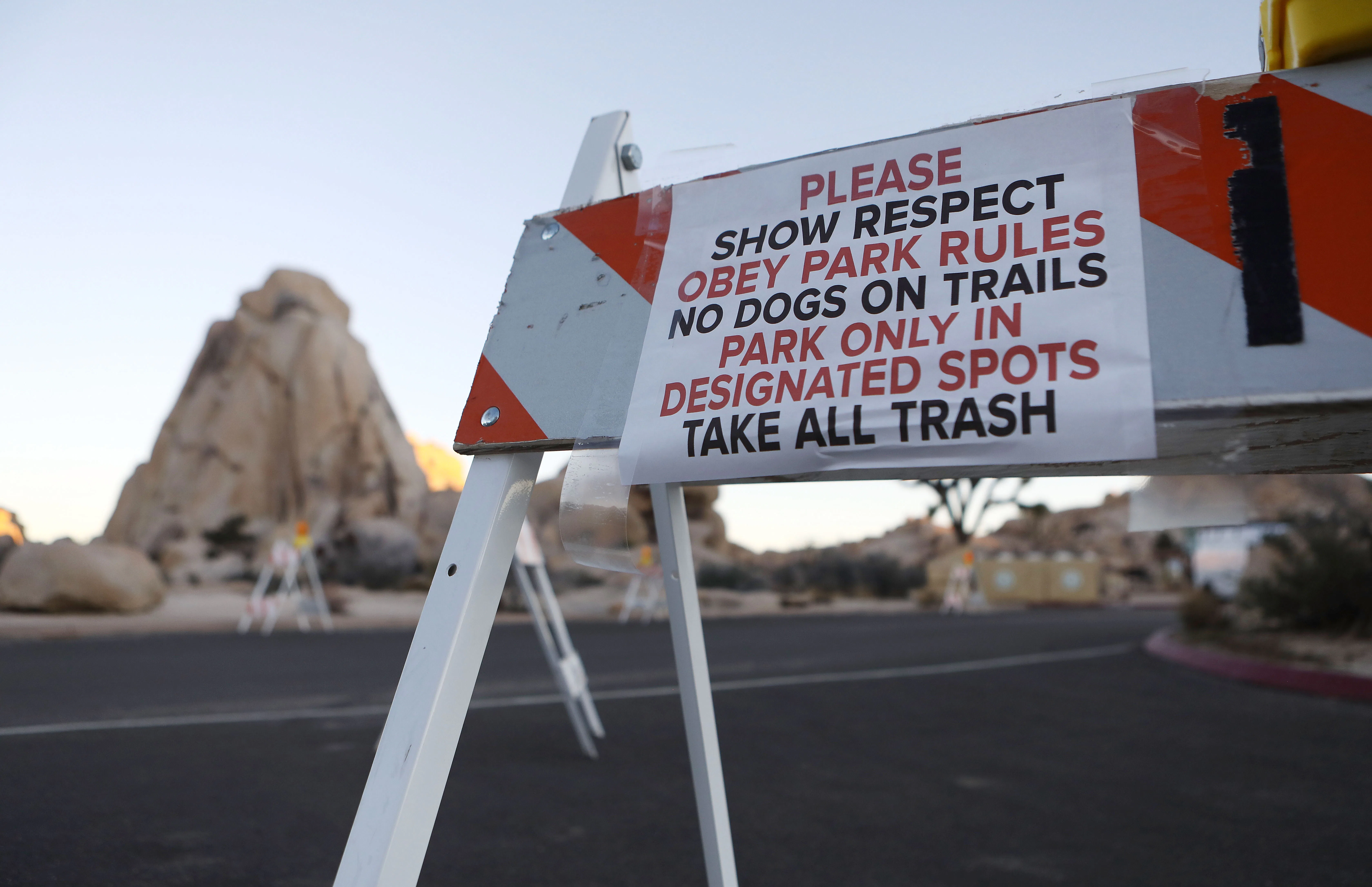 Damage To Joshua Tree National Park During The Shutdown Could Take ...