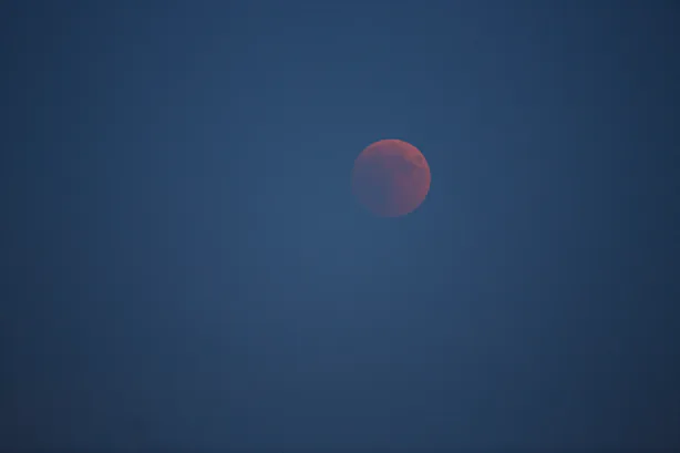 6 Meditations For The February 2019 New Moon That Will Help You Zen Out