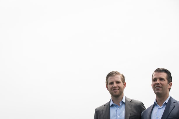 Don Jr. & Eric Trump's Body Language Reveals So Much About The Brothers ...
