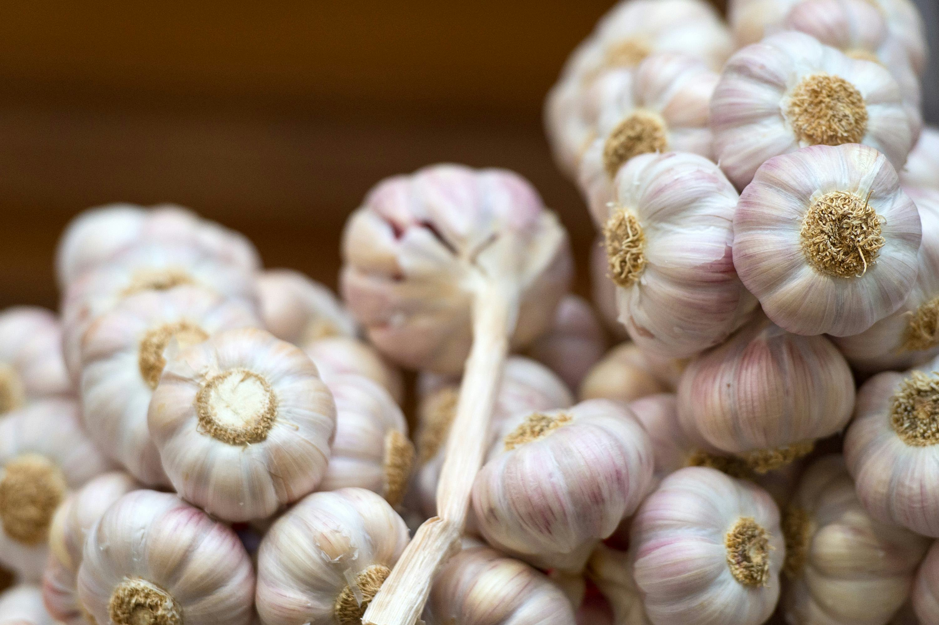 Garlic Is Not A Yeast Infection Remedy, According To This Gynecologist ...