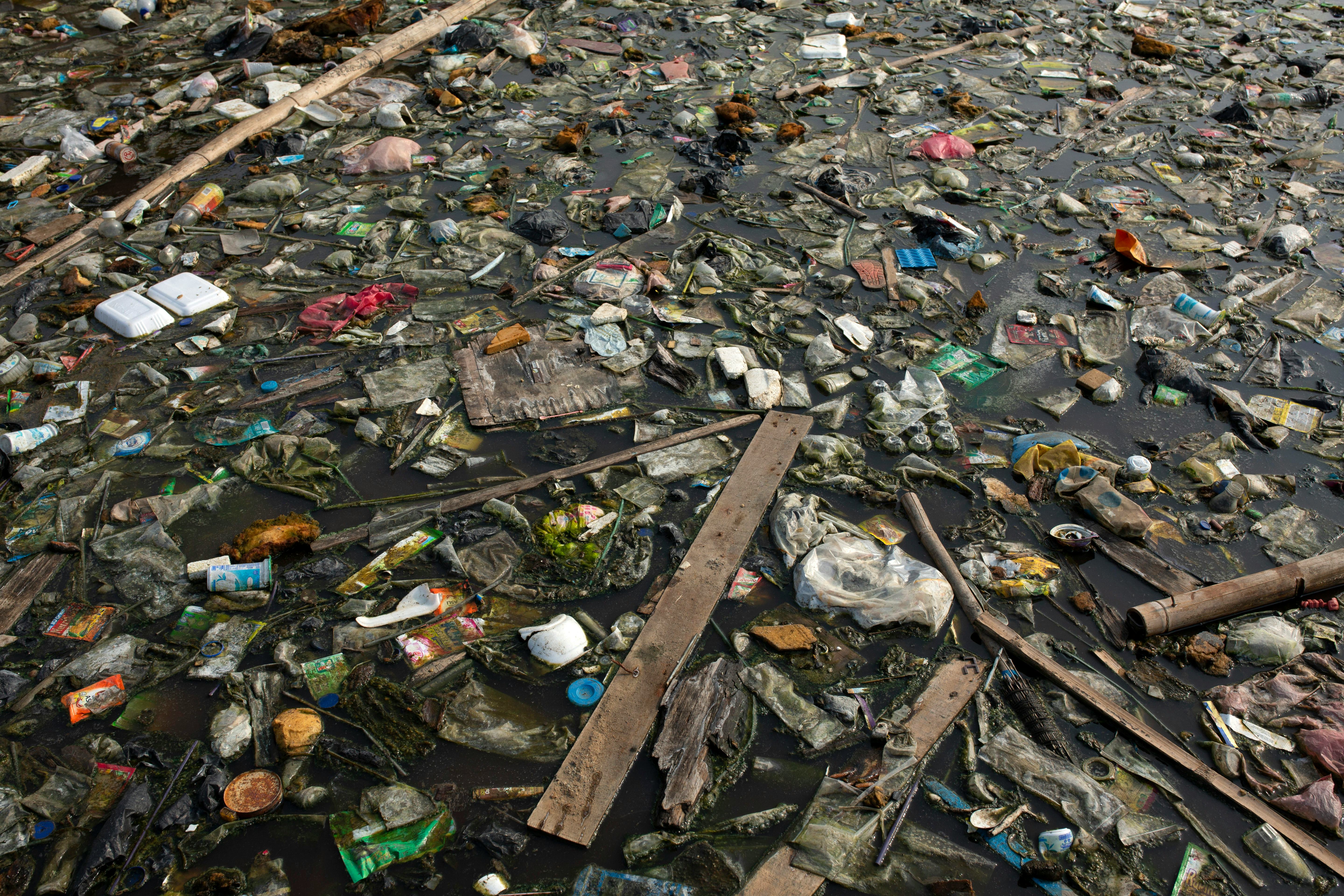 What Does 'Biodegradable' Actually Mean? Here's Why It Might Not Be The ...