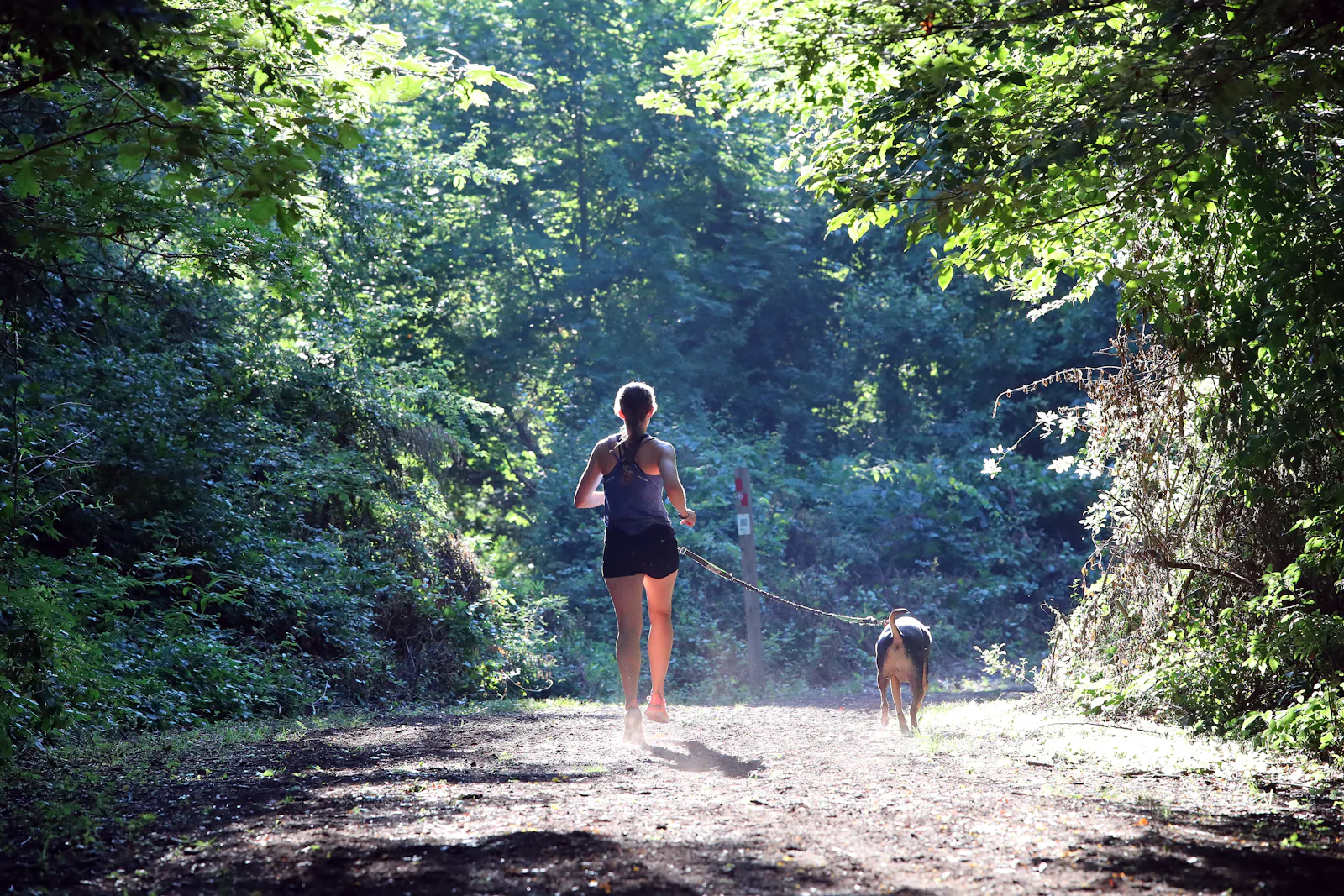 The 15 Best Active Dog Breeds To Match Your Lifestyle