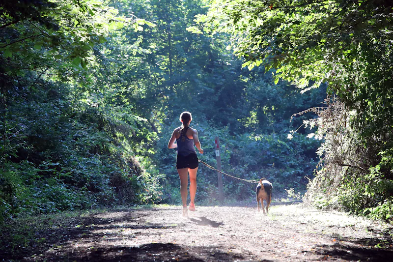 The 15 Best Active Dog Breeds To Match Your Lifestyle