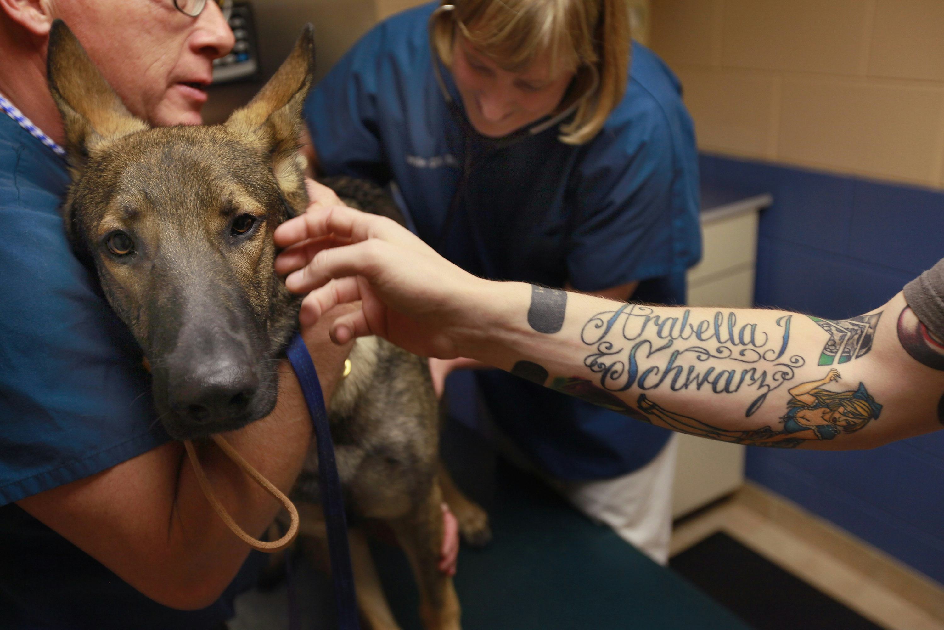 How To Tell A Good Vet From A Bad One, According To Experts