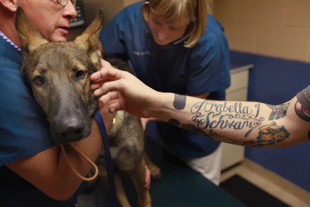 How To Tell A Good Vet From A Bad One, According To Experts