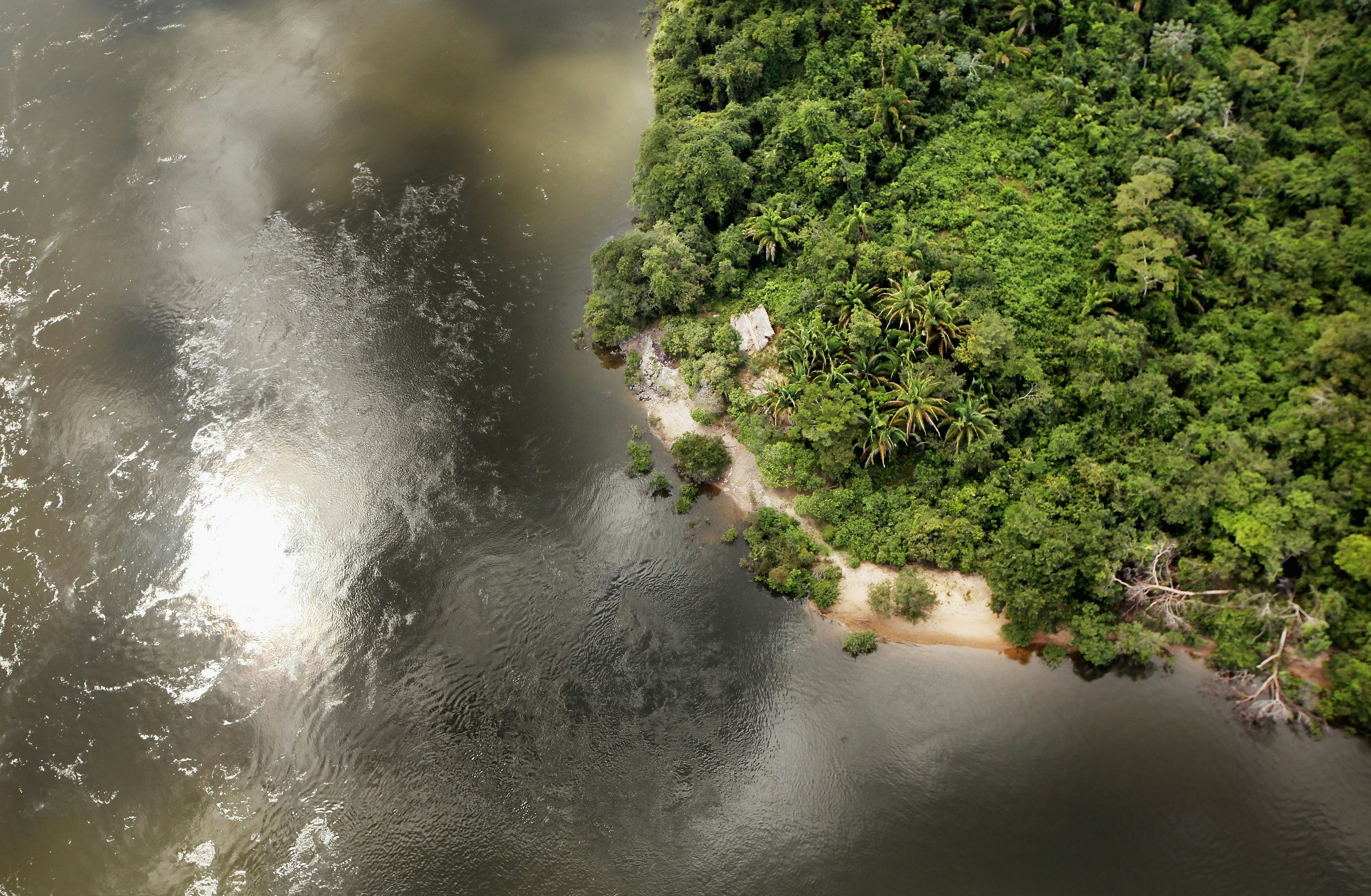 Here's How To Help The Amazon During The Devastating Wildfire