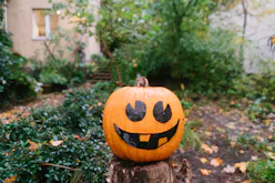 Why Do We Celebrate Halloween? This Holiday Has A Spooky History