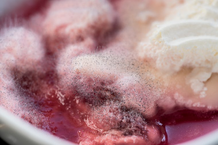 7 Signs You Should Throw Food Away As Soon As Possible