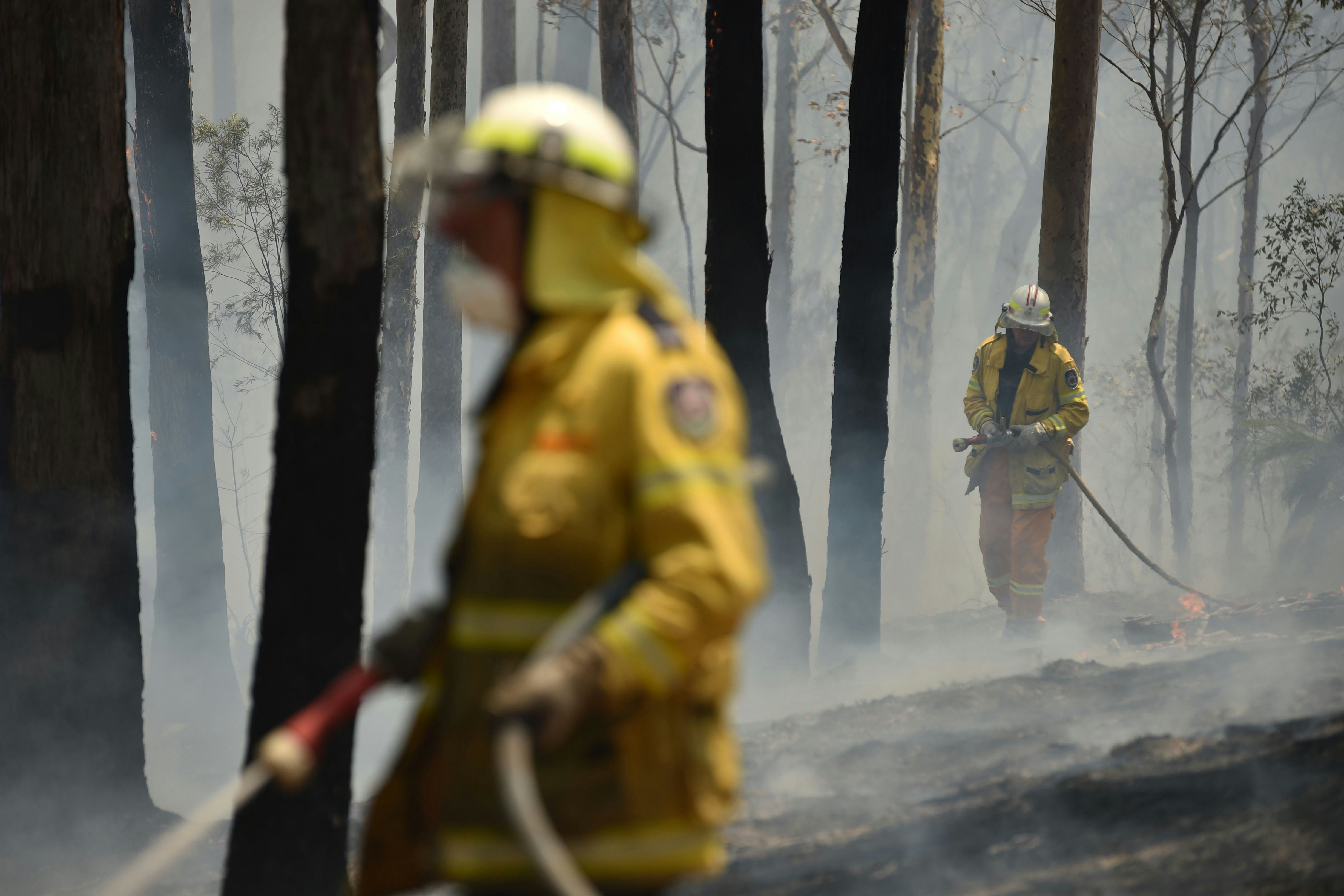 9 Australia Fire Statistics That Show The Degree Of Its Impact