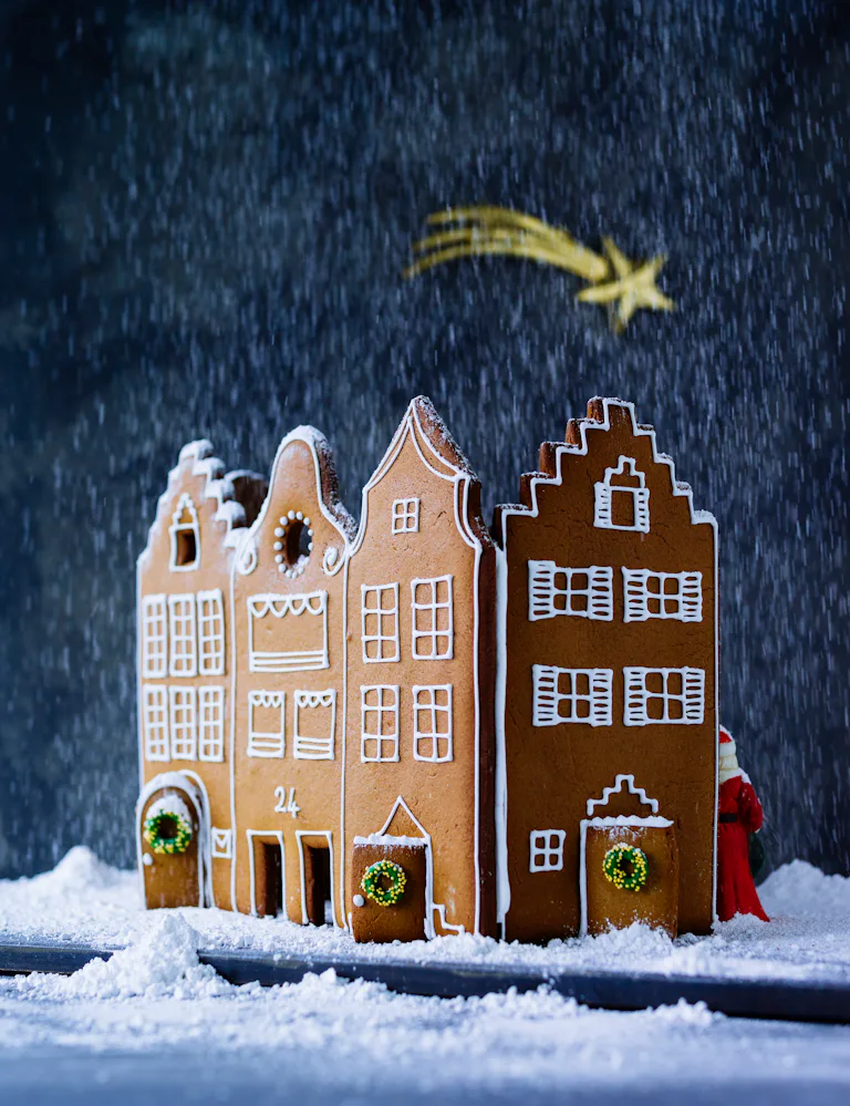 19 Beautiful, Elaborate Gingerbread Houses