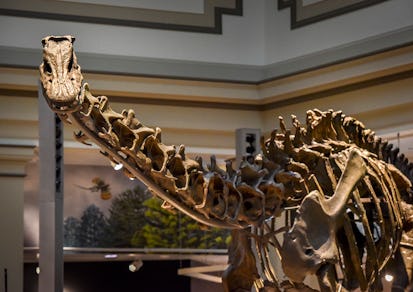 10 Museums With Virtual Tours For Quarantined Kids Who Need A "Field Trip"