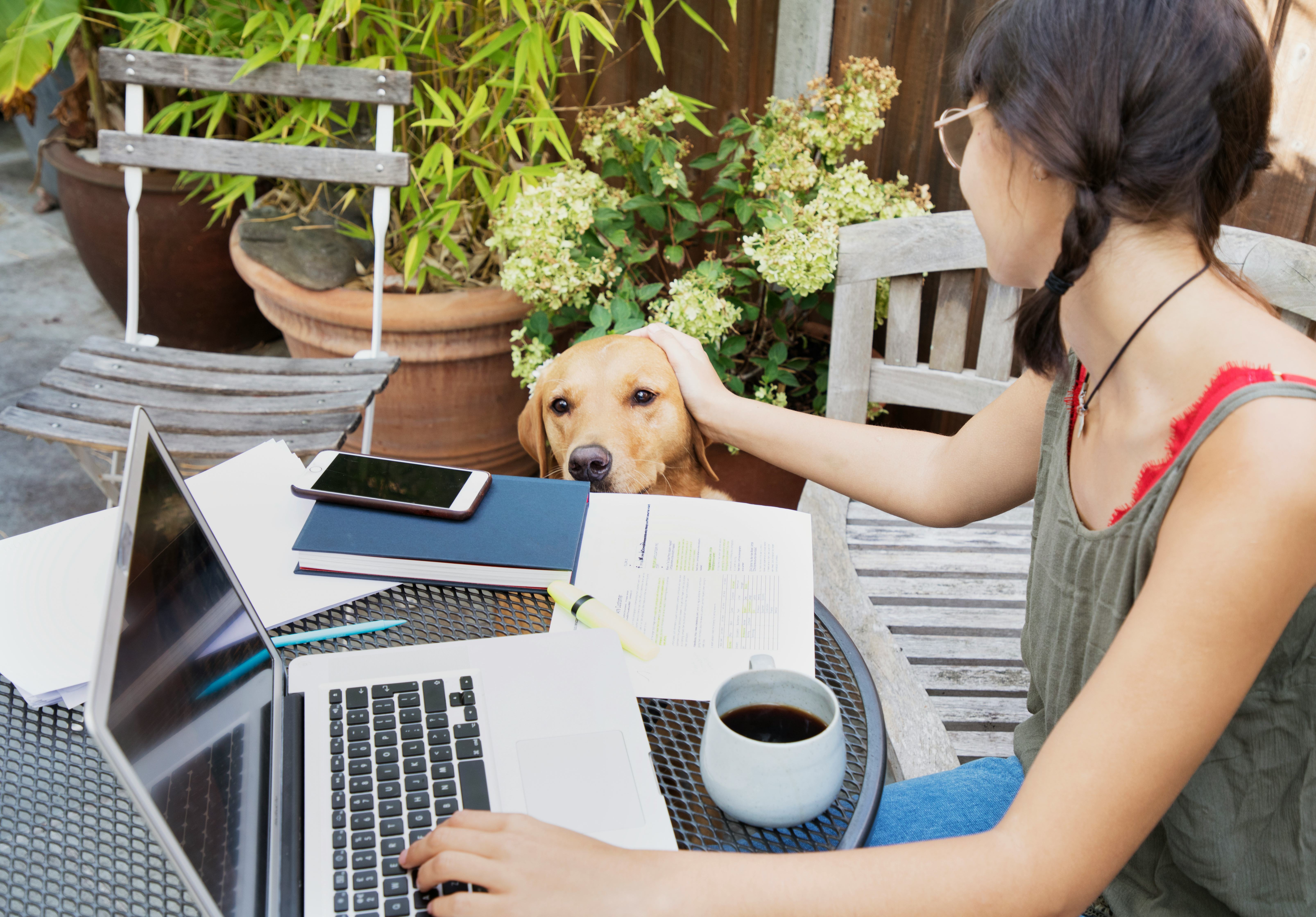 How To Work From Home If You’ve Never Done It Before, According To Pros