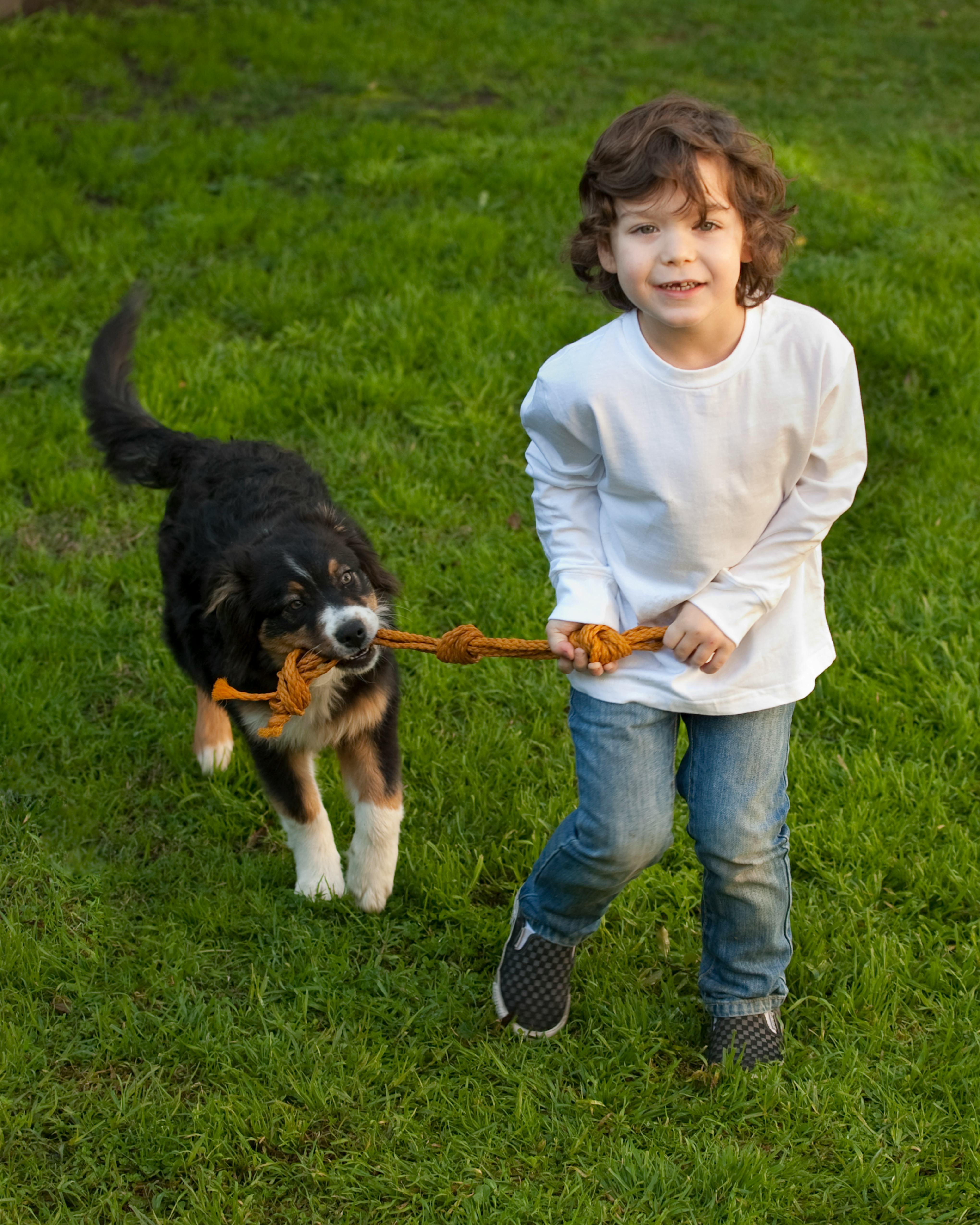 15 Fun Activities For Dogs & Kids That'll Keep Them Both Out Of Your Hair