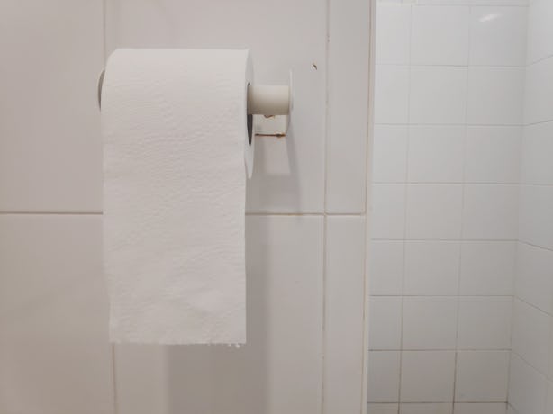The Toilet Paper Personality Test Connects The Over-Or-Under Debate To ...