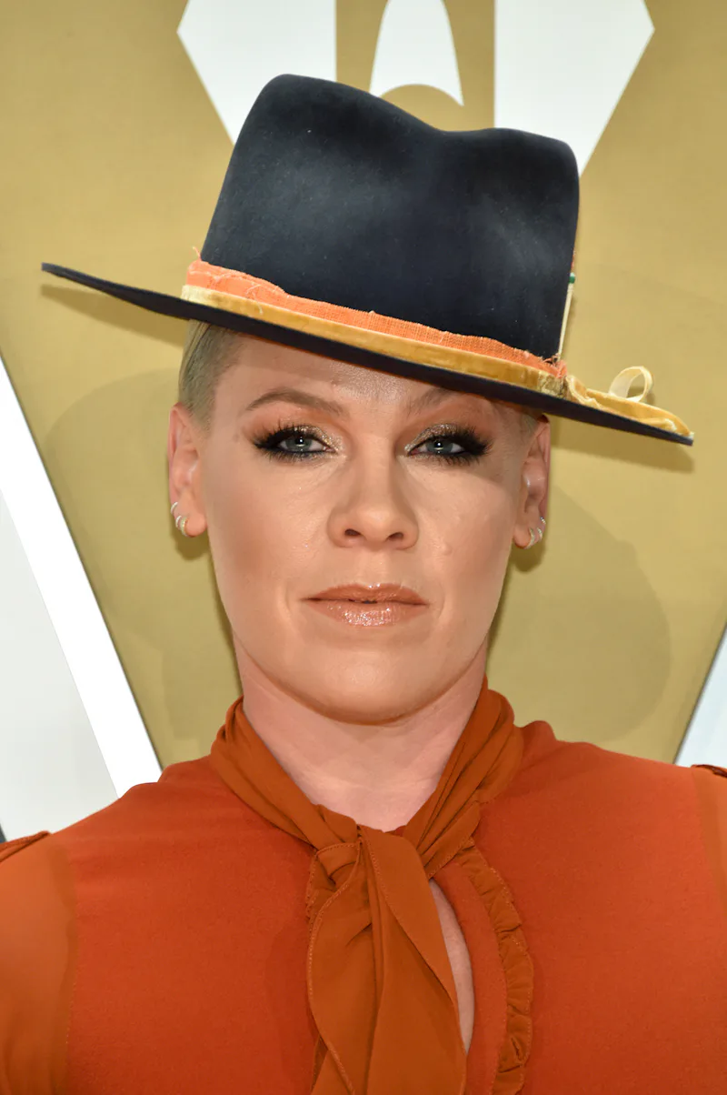 Pink Calls Coronavirus The "Scariest Thing" She's Ever Been Through