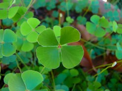 Are Some People Luckier? 6 Traits Of Lucky People, According To Science