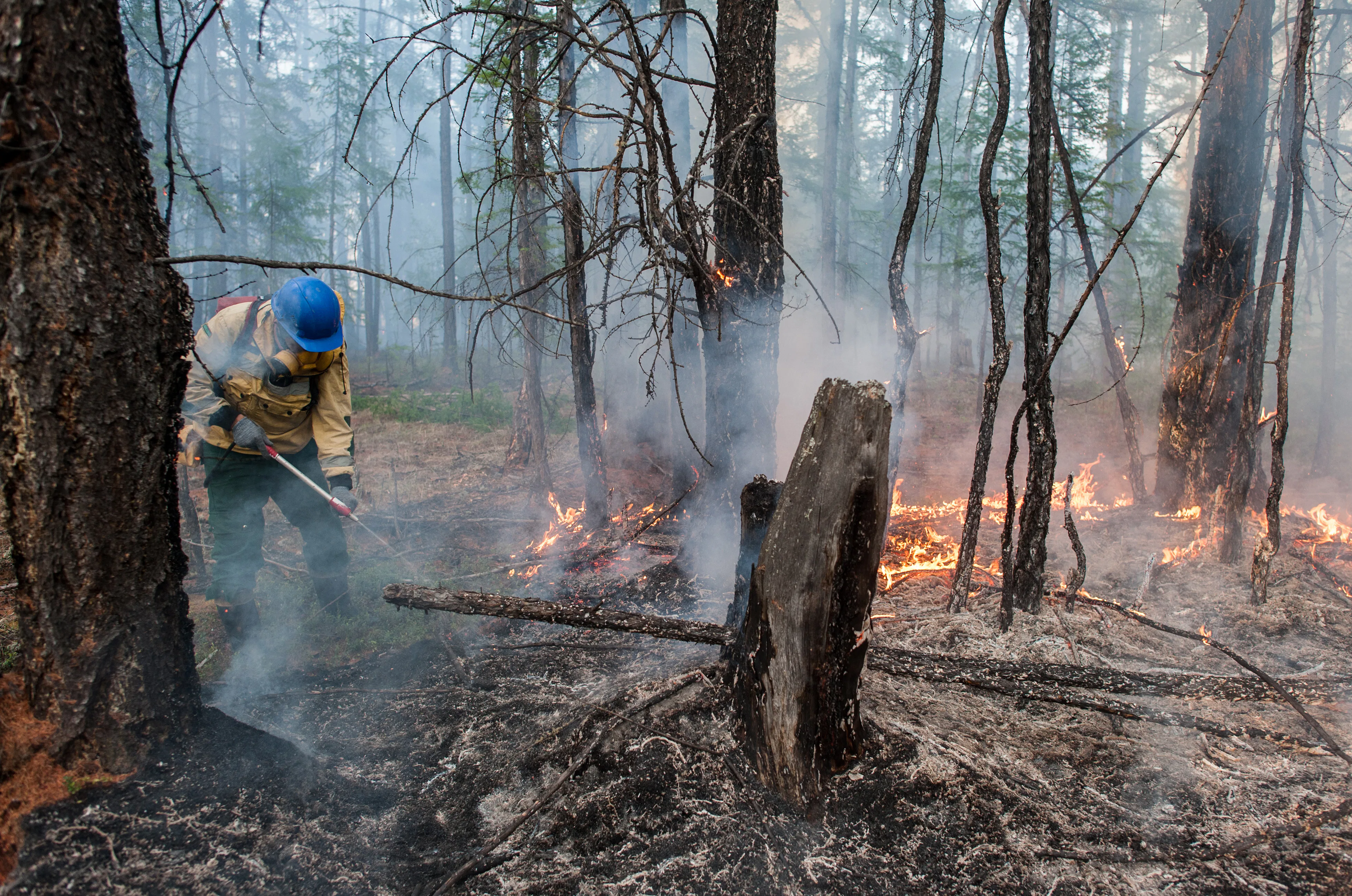 The Arctic is on fire. Here are 5 reasons to be concerned.