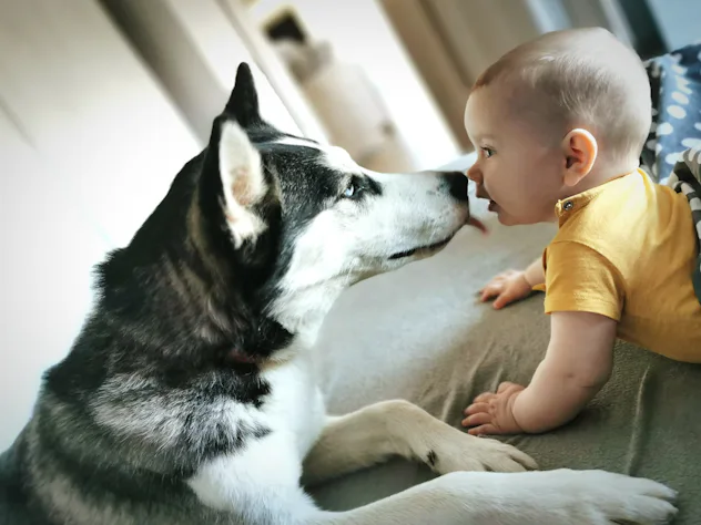Cute Pictures Of Kids & Dogs To Make The Ultimate Mood Board