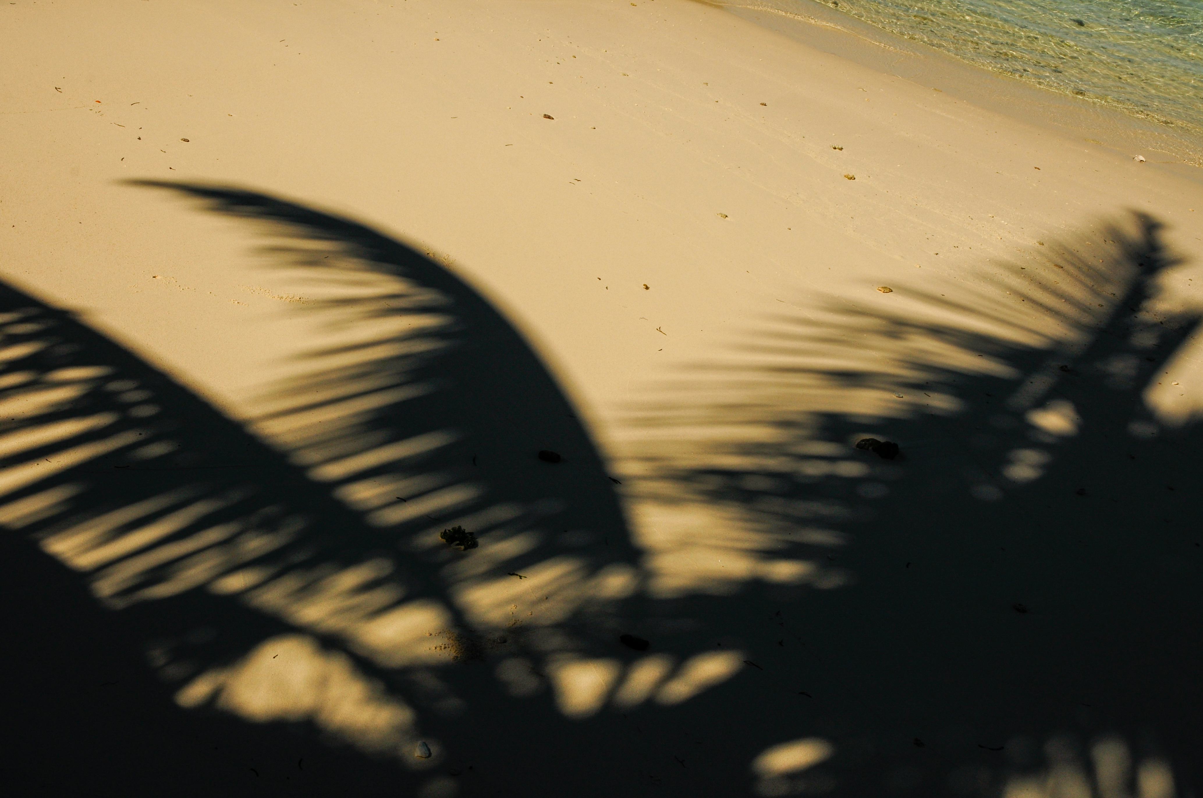 How To Take Shadow Pictures For Instagram That Are Clever & Artsy