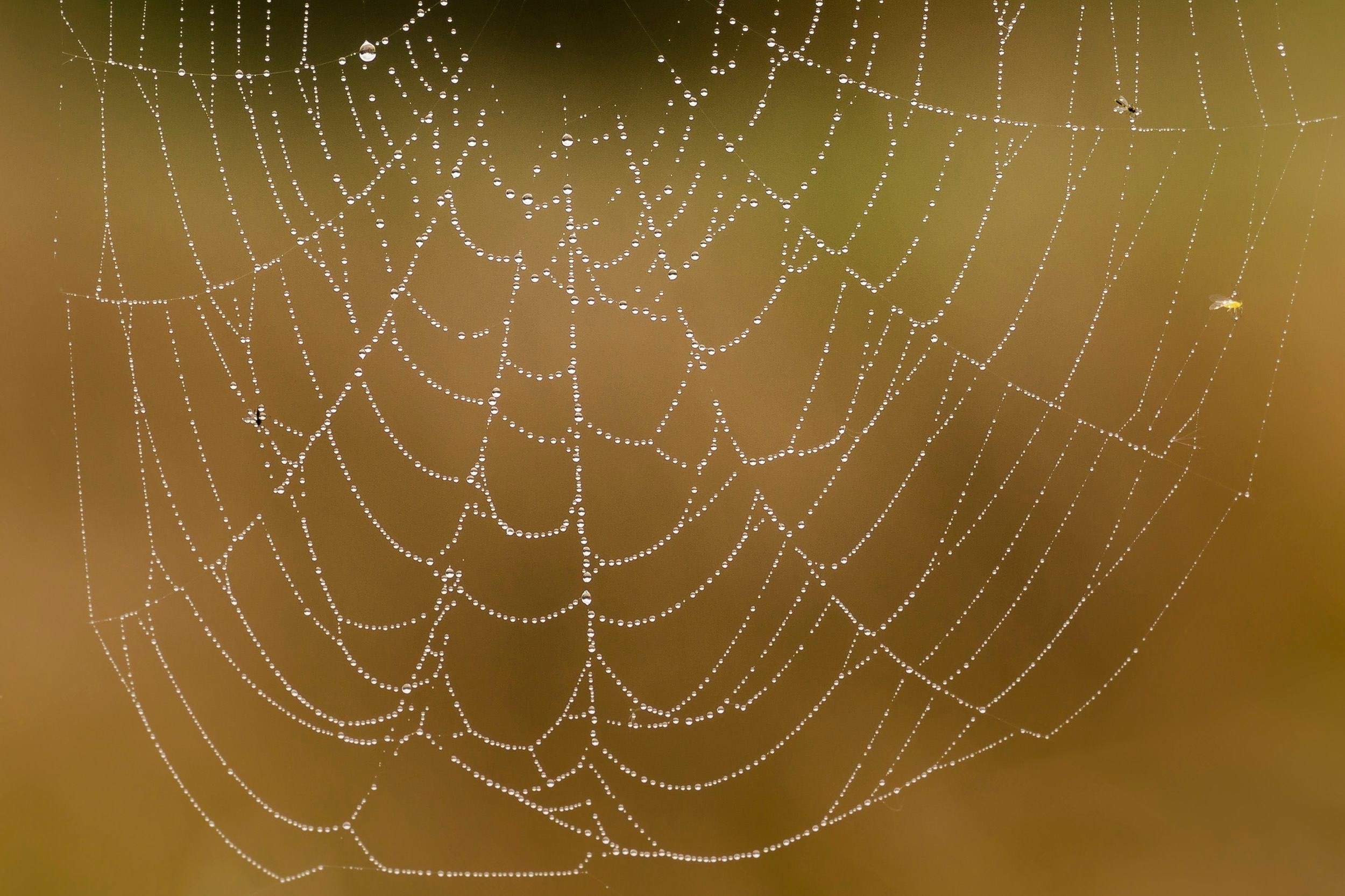 13 Halloween Superstitions With Bizarre Histories