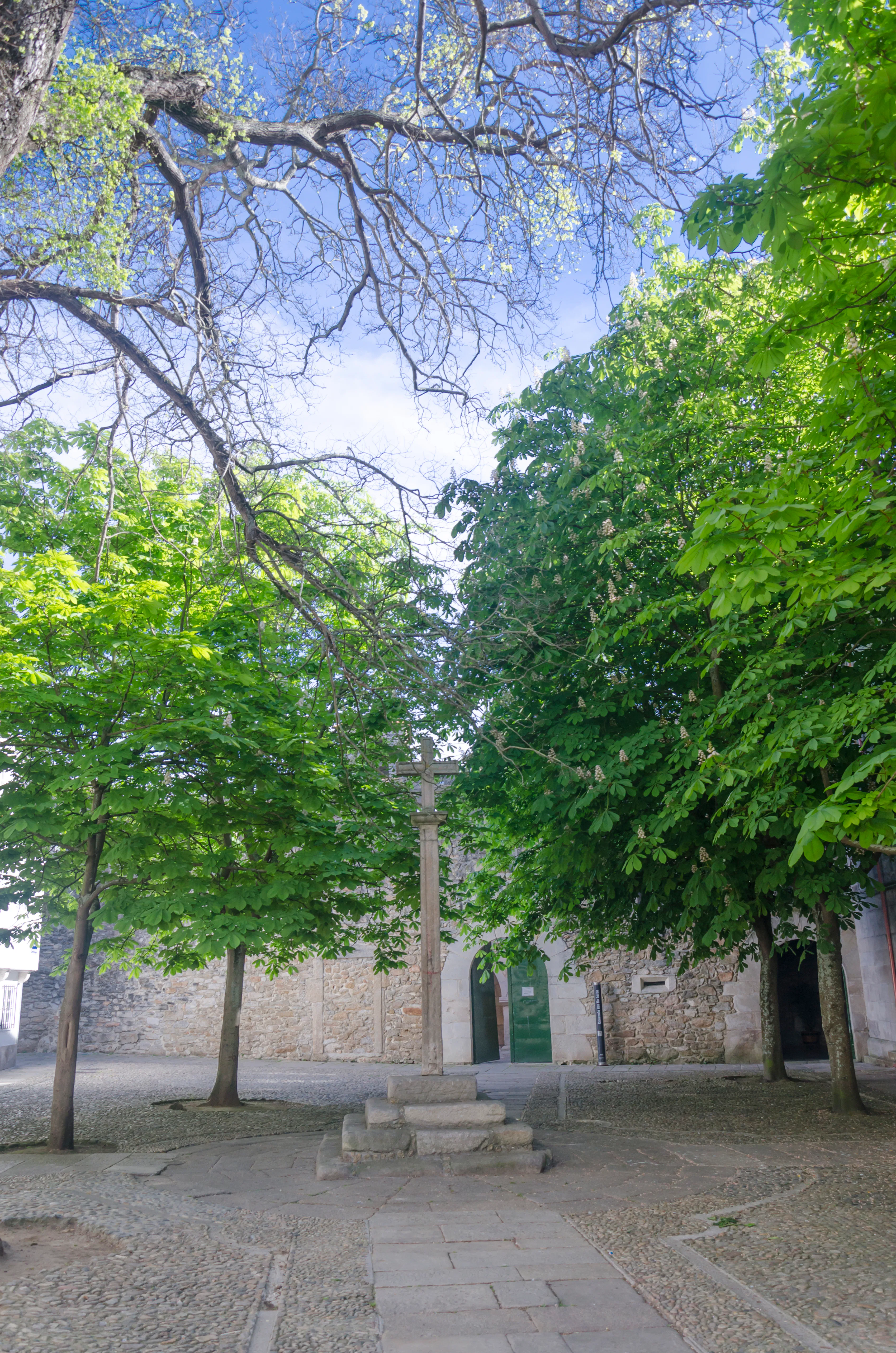 Is planting trees good for cities? Why this question misses an ...