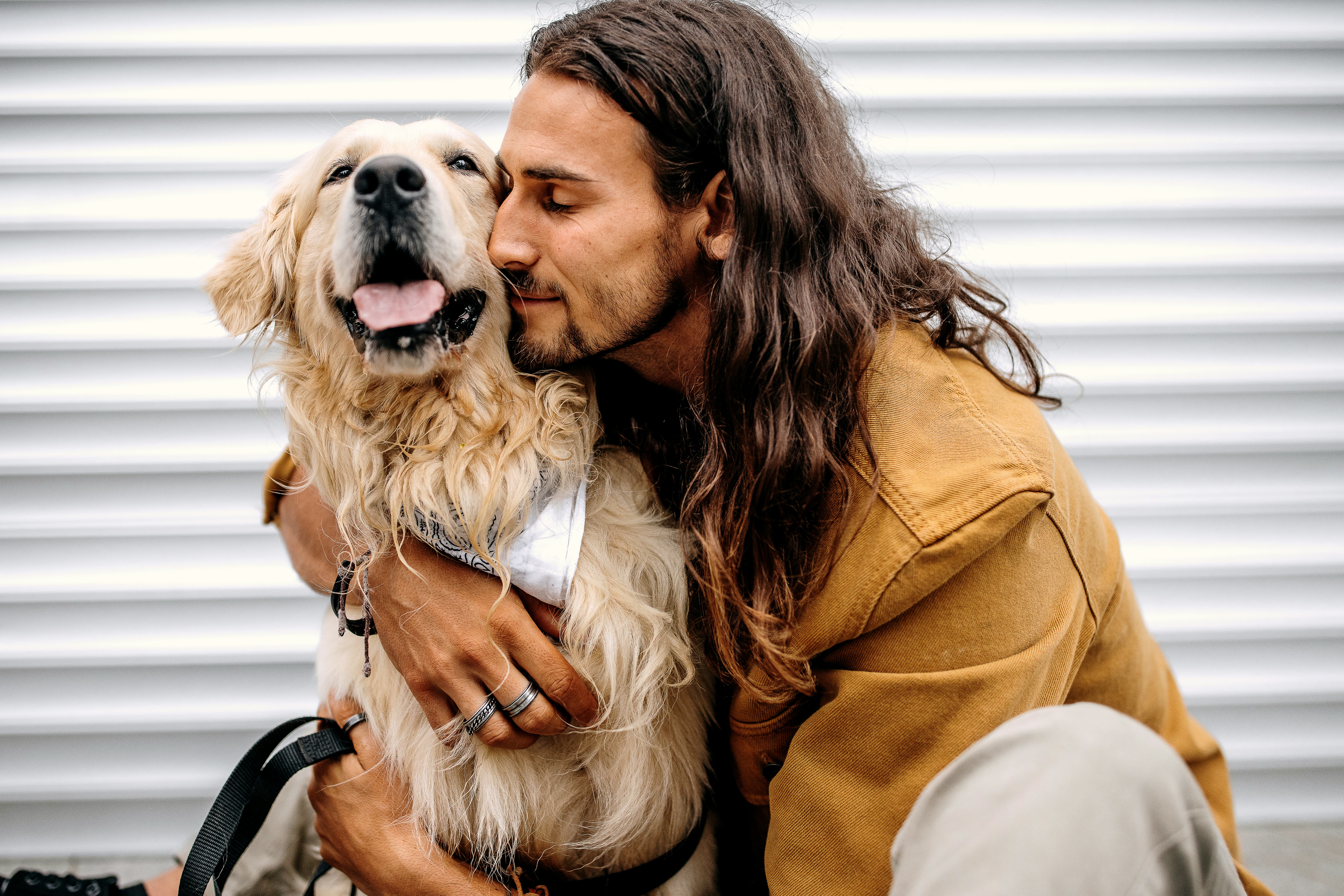 The scientific reason to swipe right on someone with a dog in their ...