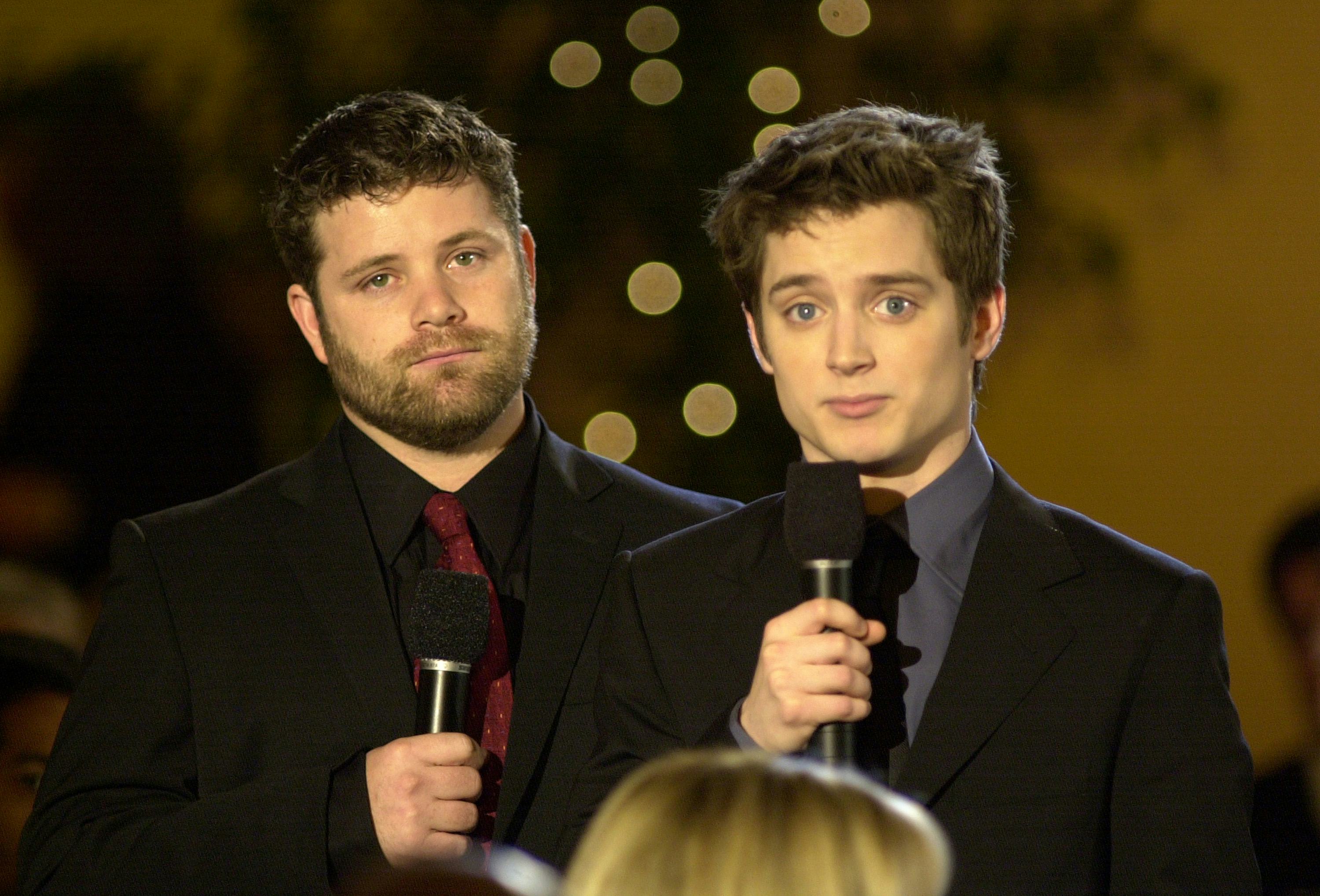 'Lord of the Rings: The Fellowship Of The Ring' Movie Cast: Then Vs ...