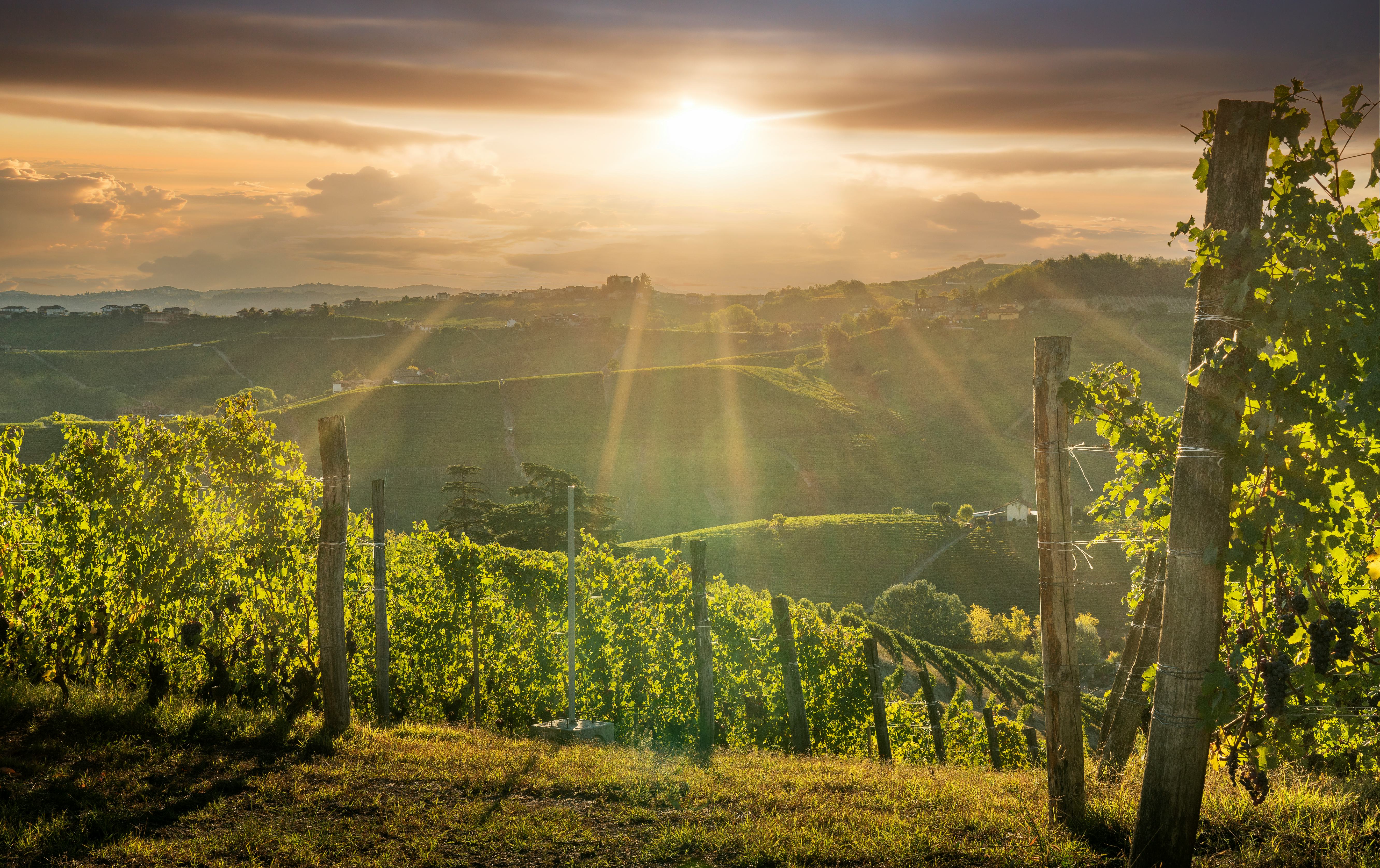 Look: Largest dinosaur skeleton ever found in Italy changes ancient history