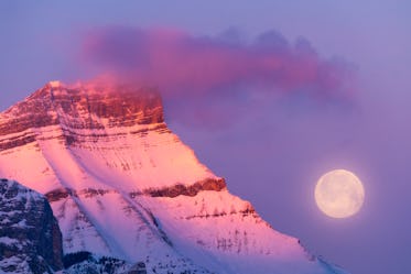 The Emotional Meaning Of The February 2021 Full Moon Is About Survival