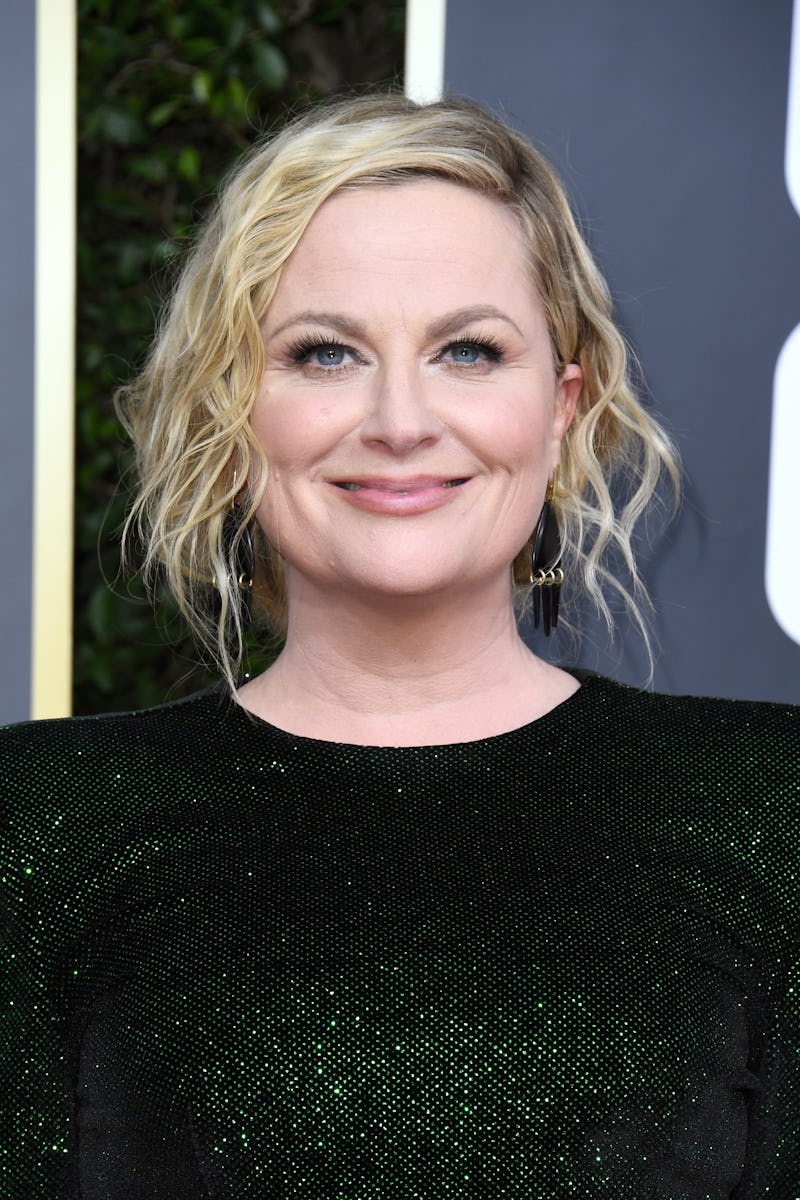 Is Amy Poehler Dating Anyone? She's Embracing Her Next Chapter