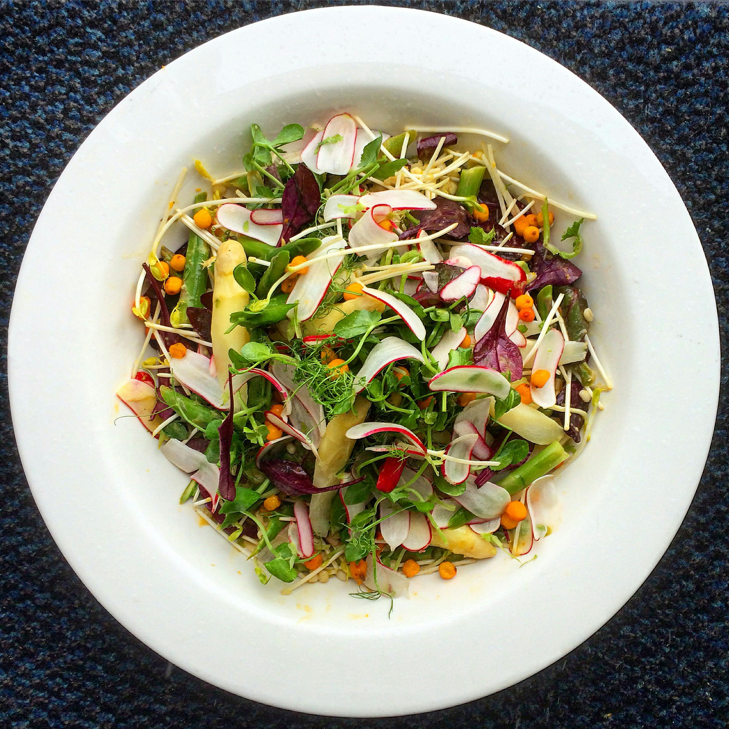 6 Spring Salad Recipes That’ll Make Lunch A Treat