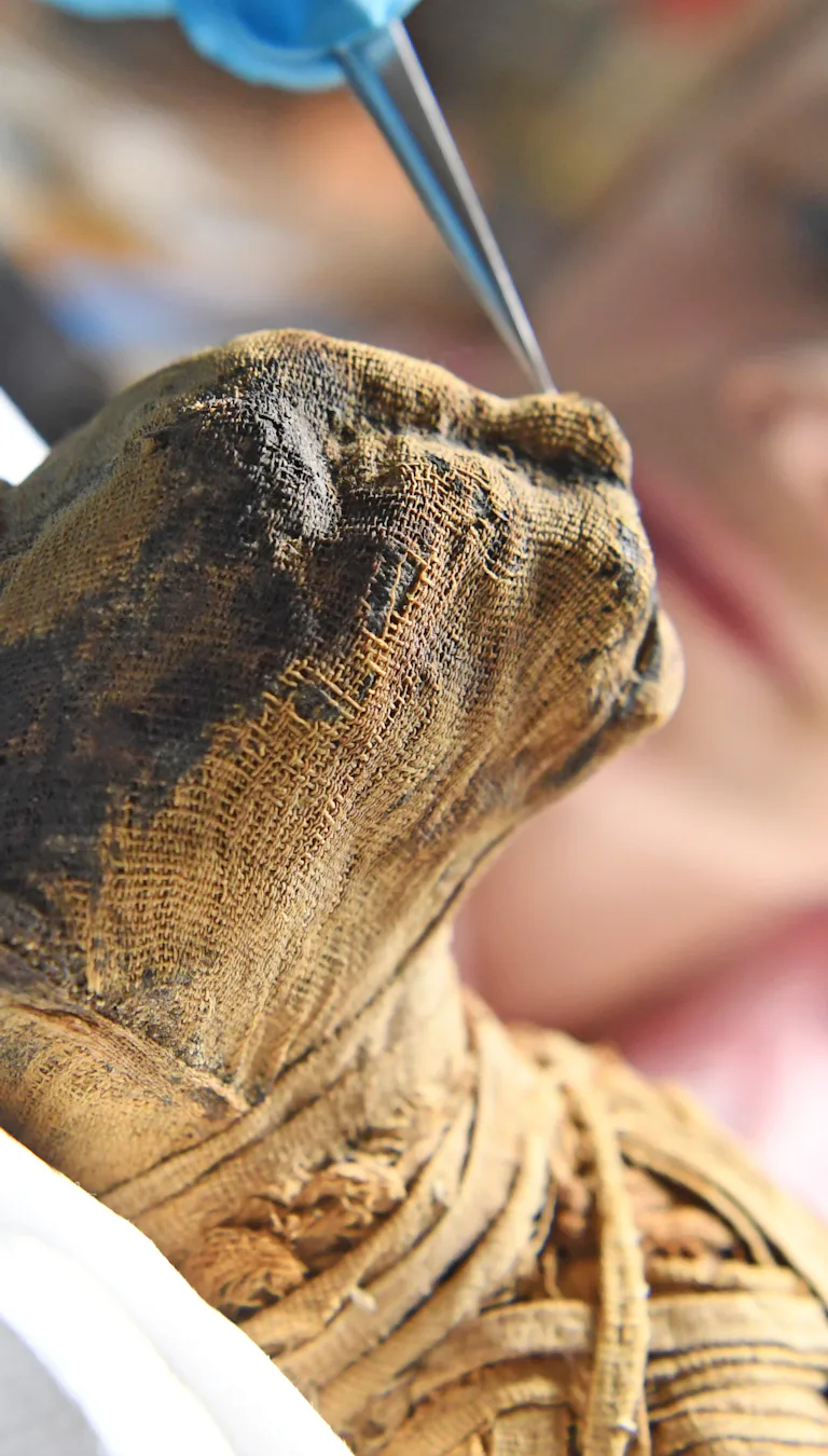 5 Mummified Animals Reveal How Ancient Humans Lived 5 Mummified Animals Reveal How Ancient Humans Lived