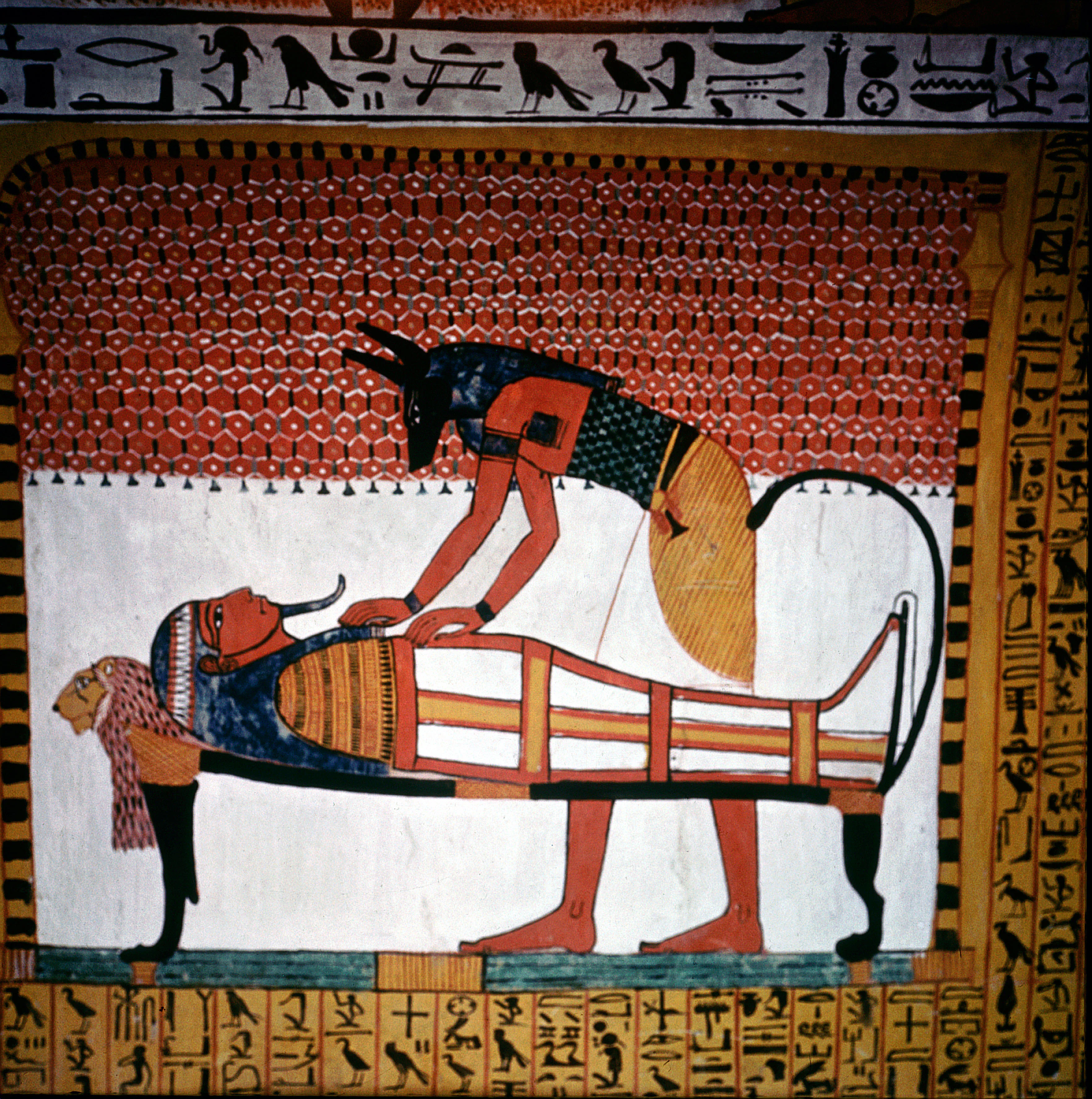 5 mummified animals reveal how ancient humans lived