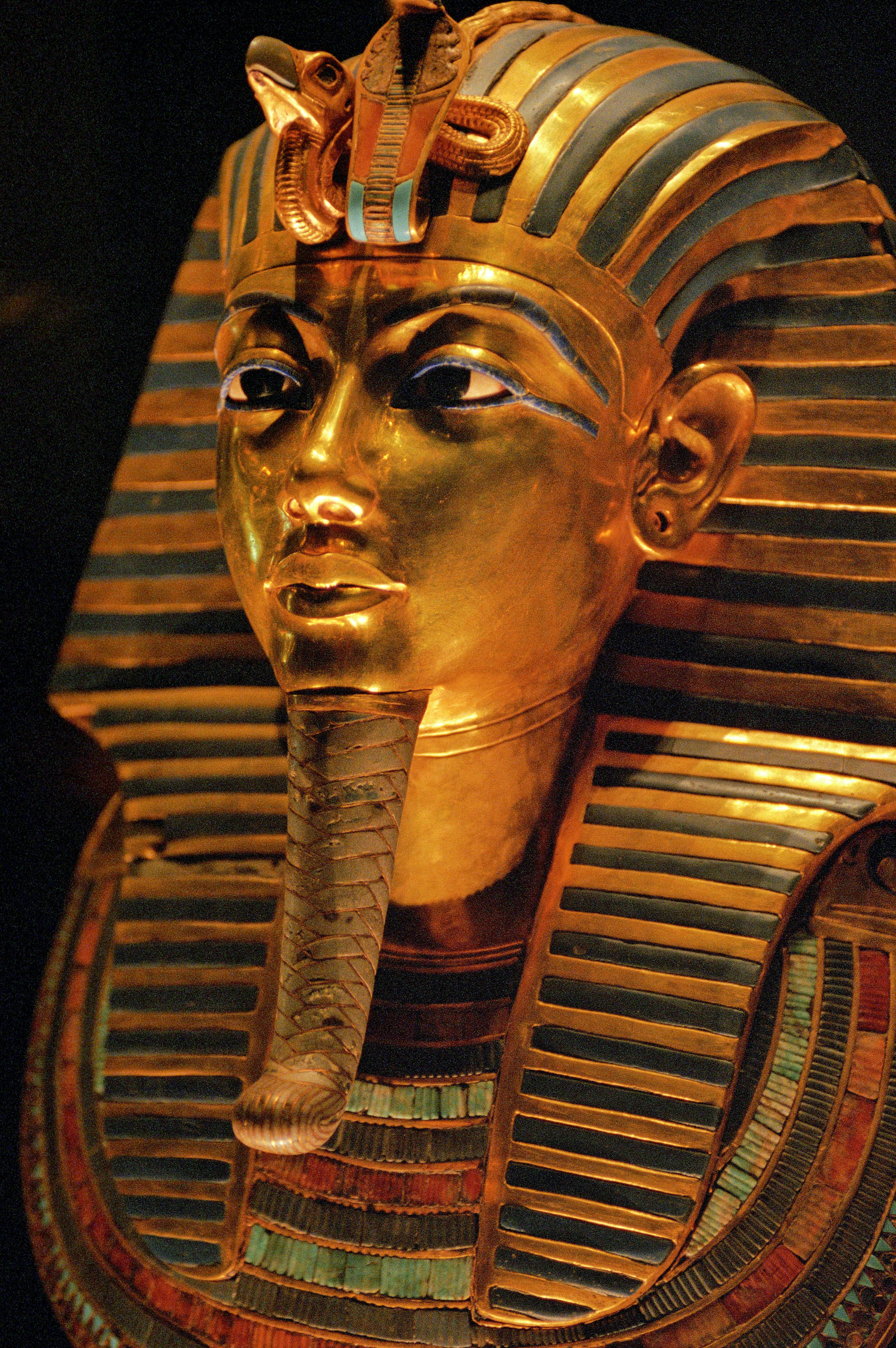 5 mummified animals reveal how ancient humans lived