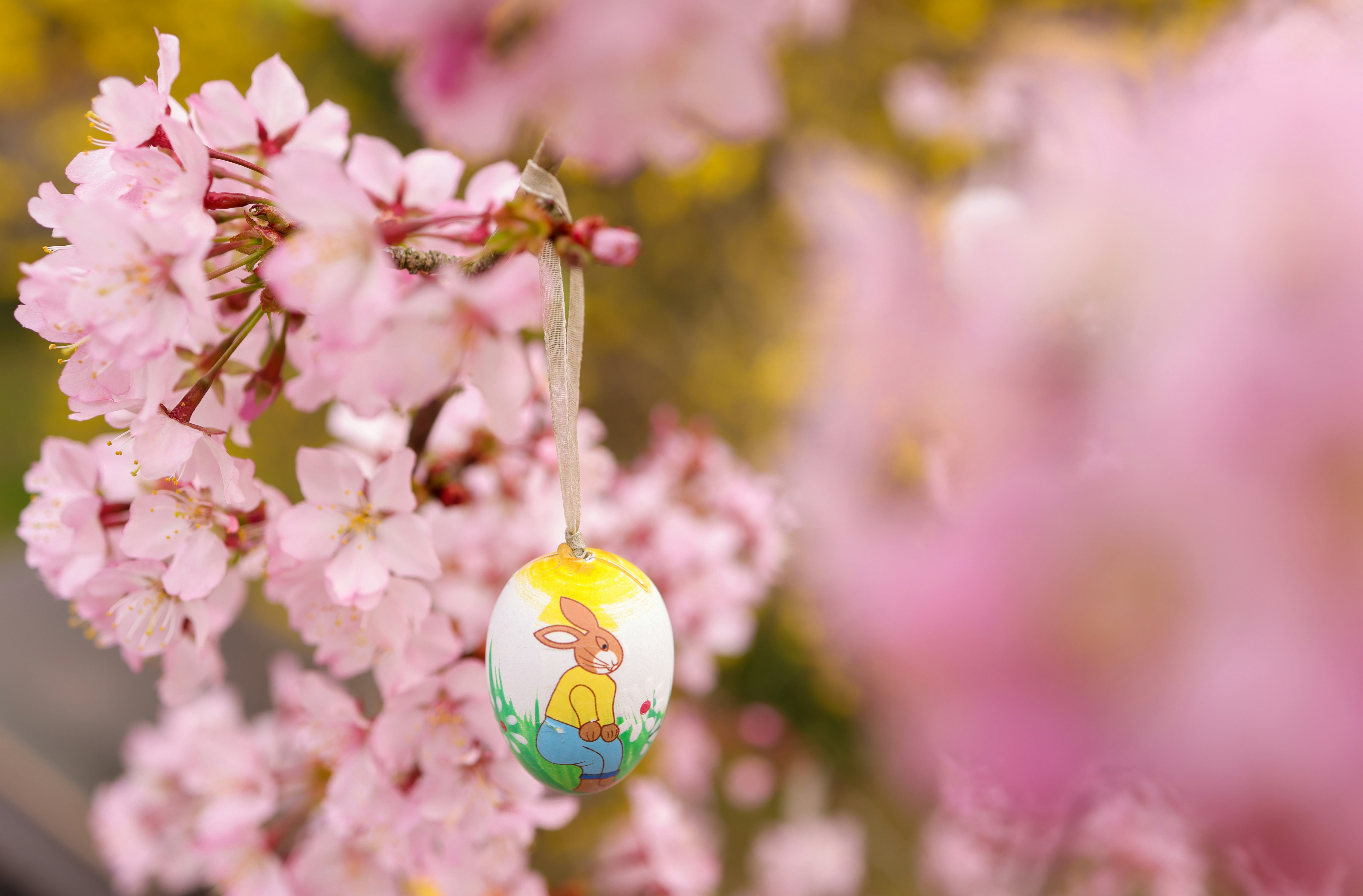 15 Non-Religious Easter Quotes To Share This Holiday
