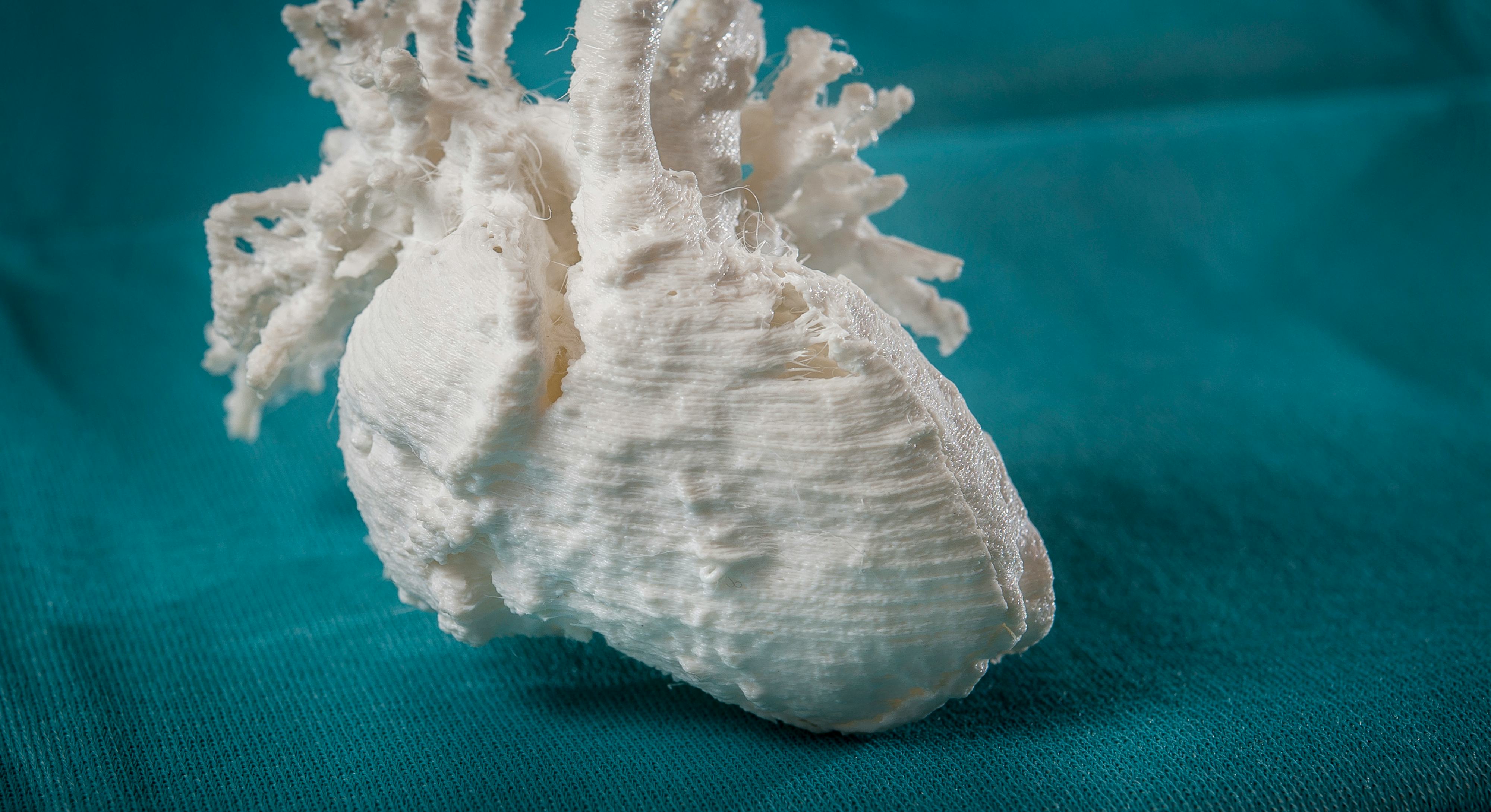 The 9 Weirdest 3D printed Objects With Scientific Uses the-9-weirdest-3d-printed-objects-with-scientific-uses