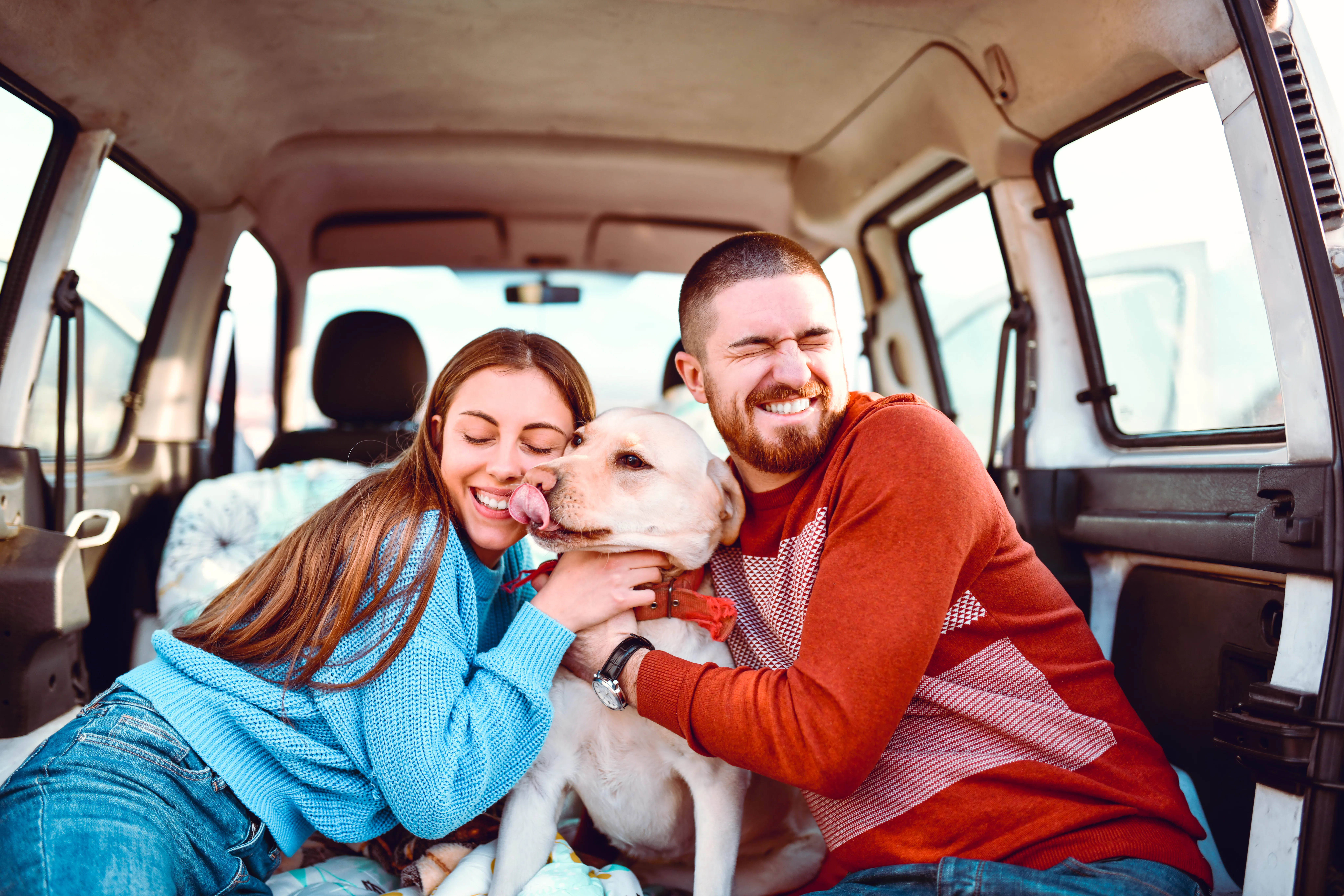 Father's Day Captions For Dog Dads You Love Furry Much