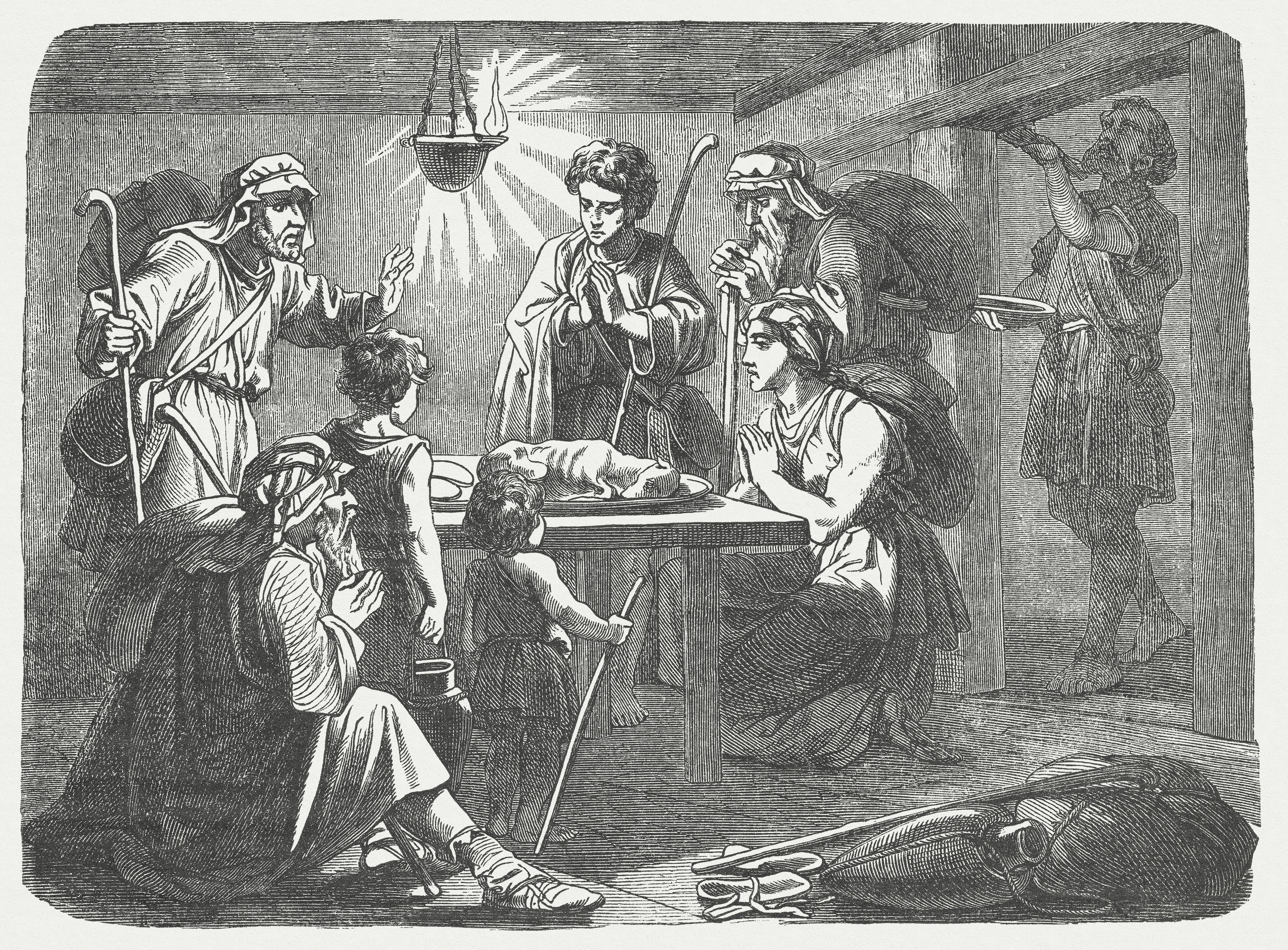 Ancient Judeans’ table scraps offer a fresh twist on Jewish cuisine