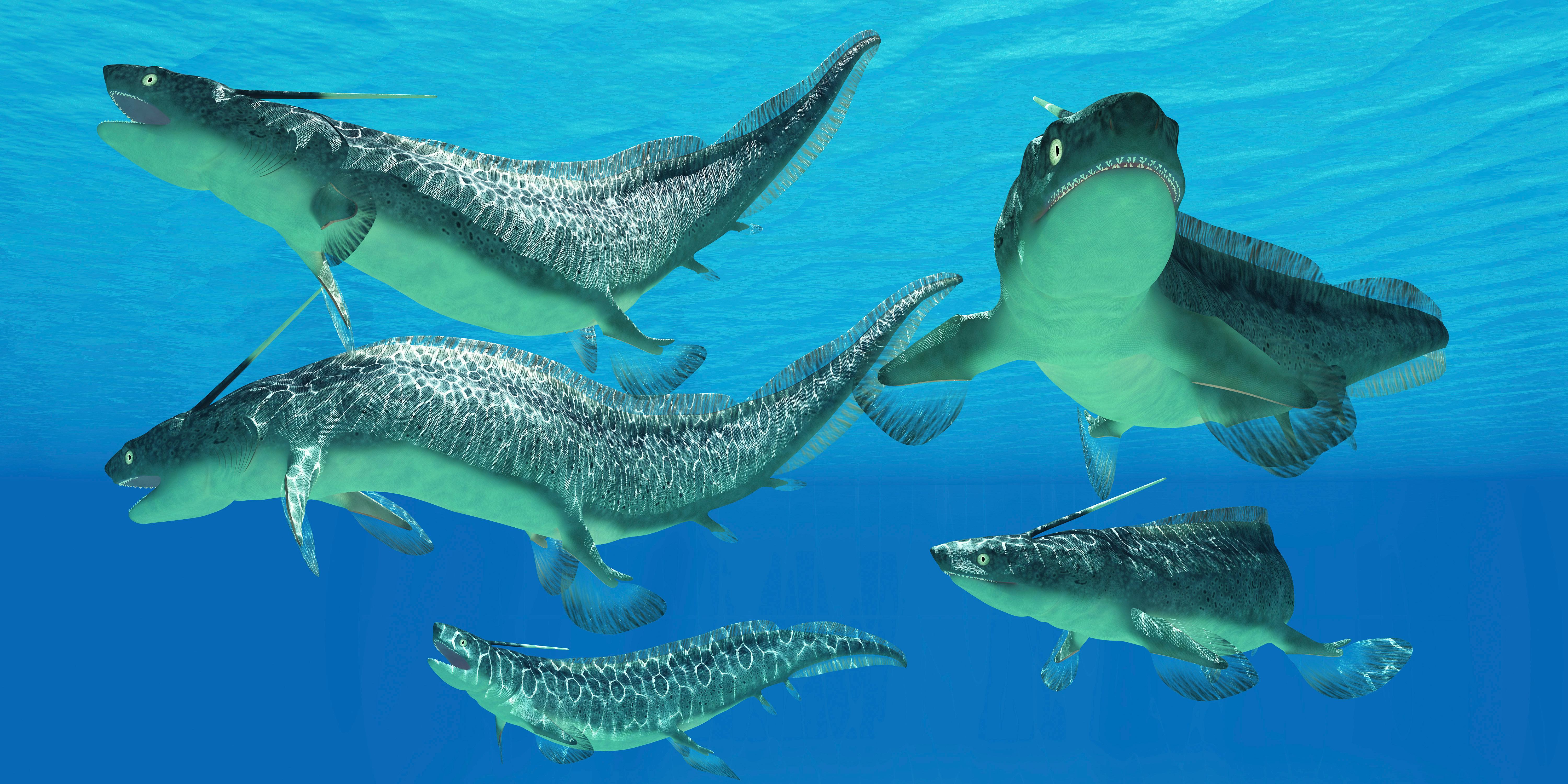 Ancient creatures went north to flee climate change — now animals are ...