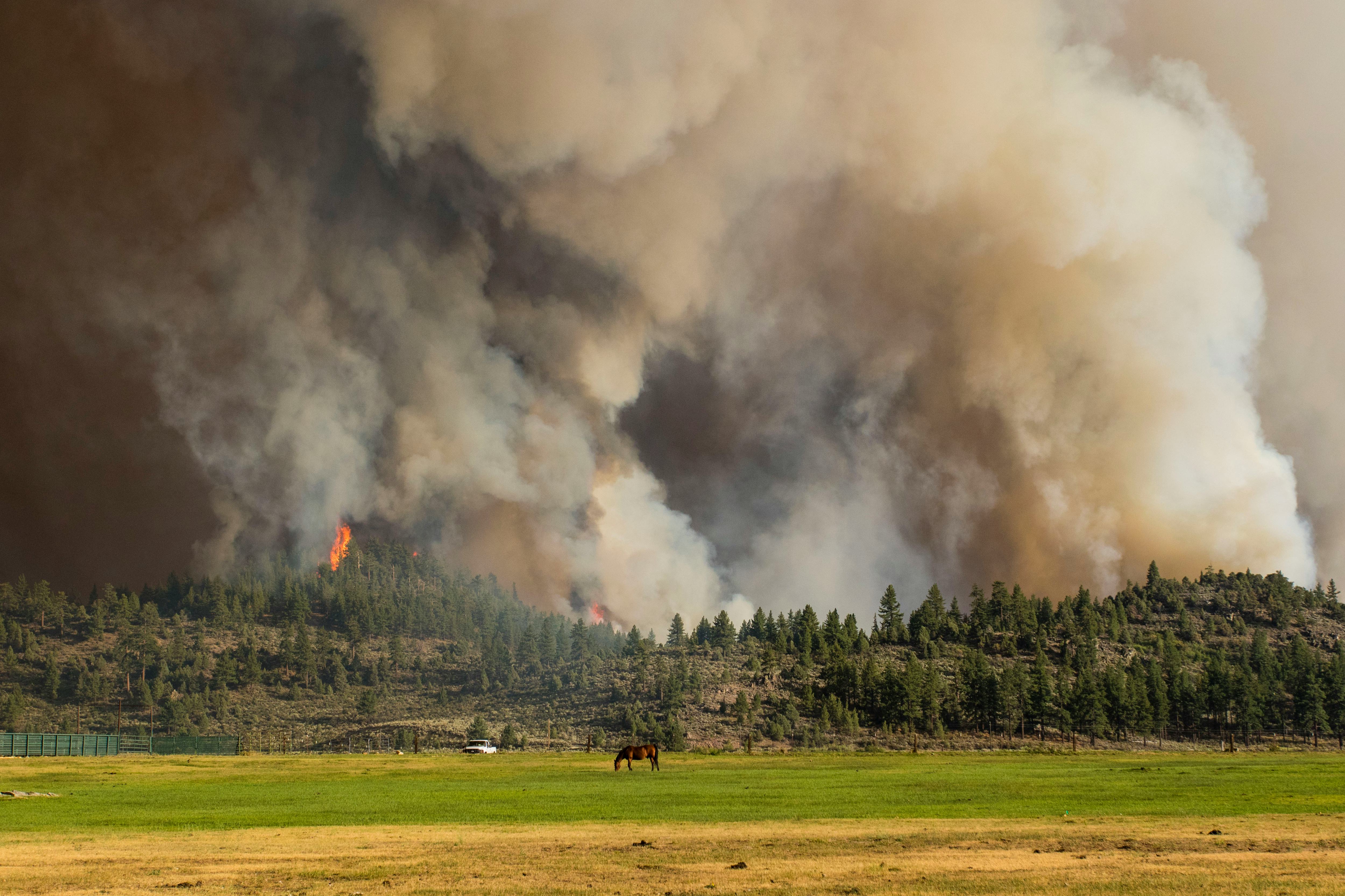 5 tactics to keep your lungs healthy in wildfire smoke