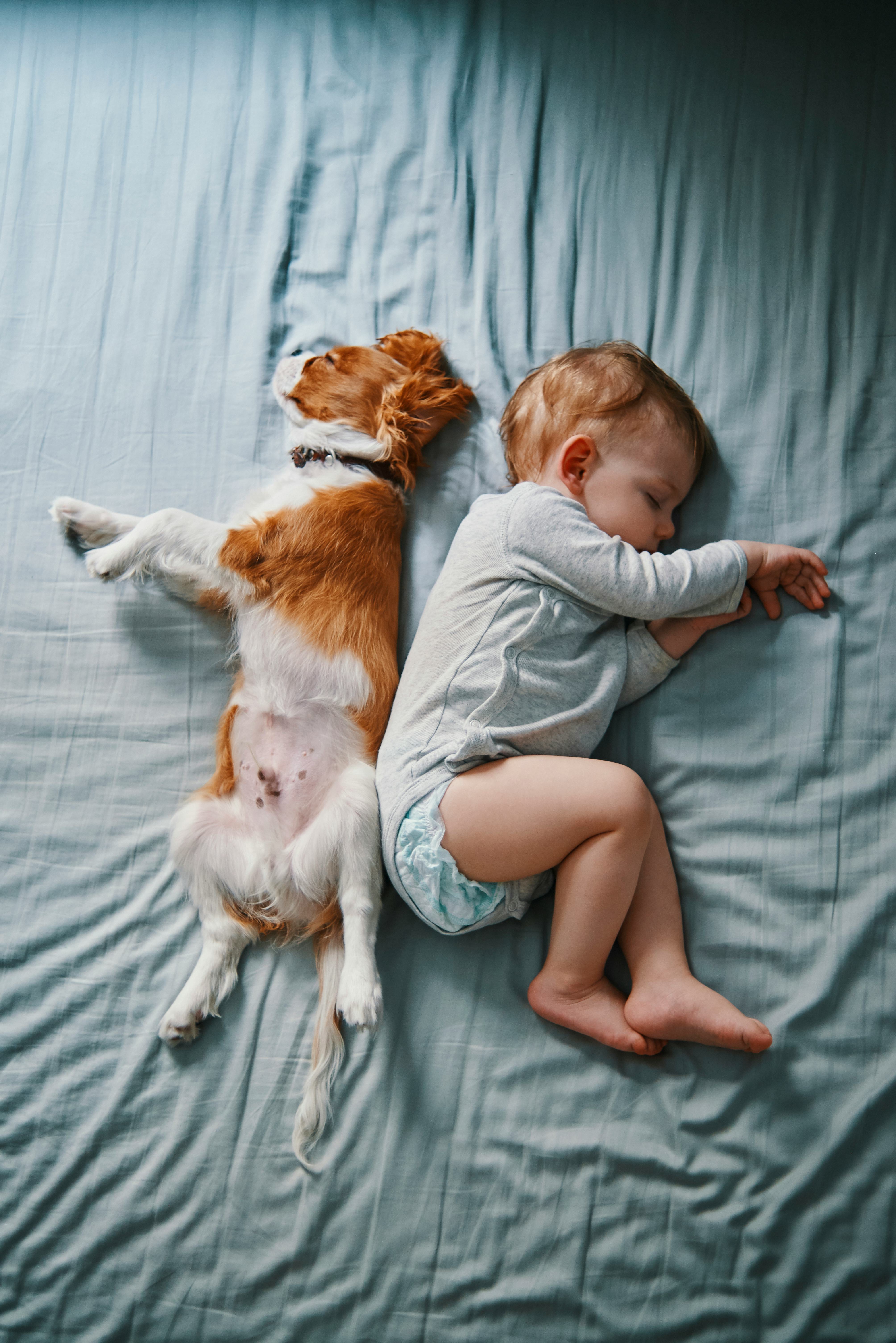 27 Cutest Babies With Dogs Photo Shoot Ideas
