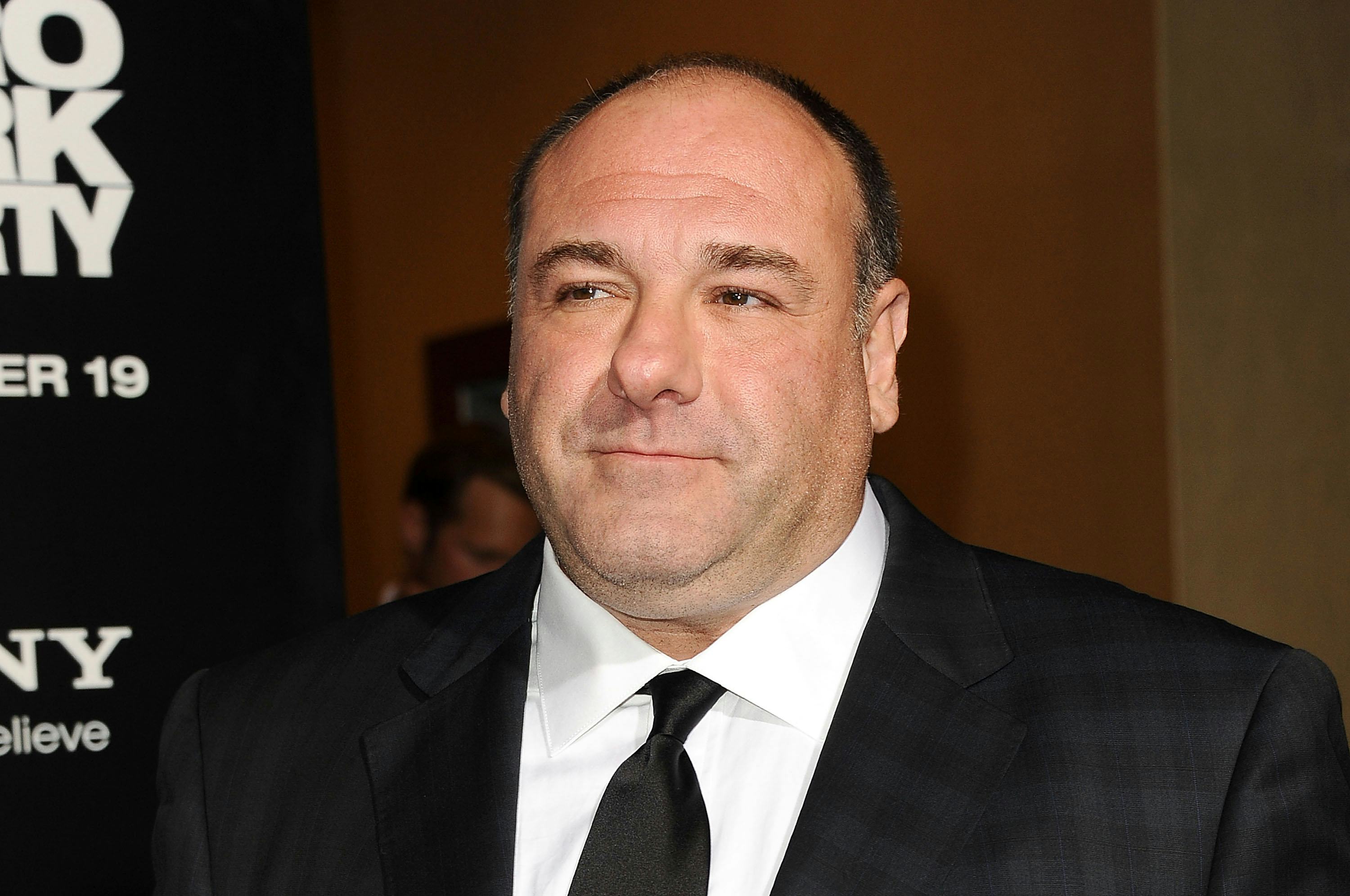 Where Is 'The Sopranos' Cast Now? Catch Them In These Movies & TV Series