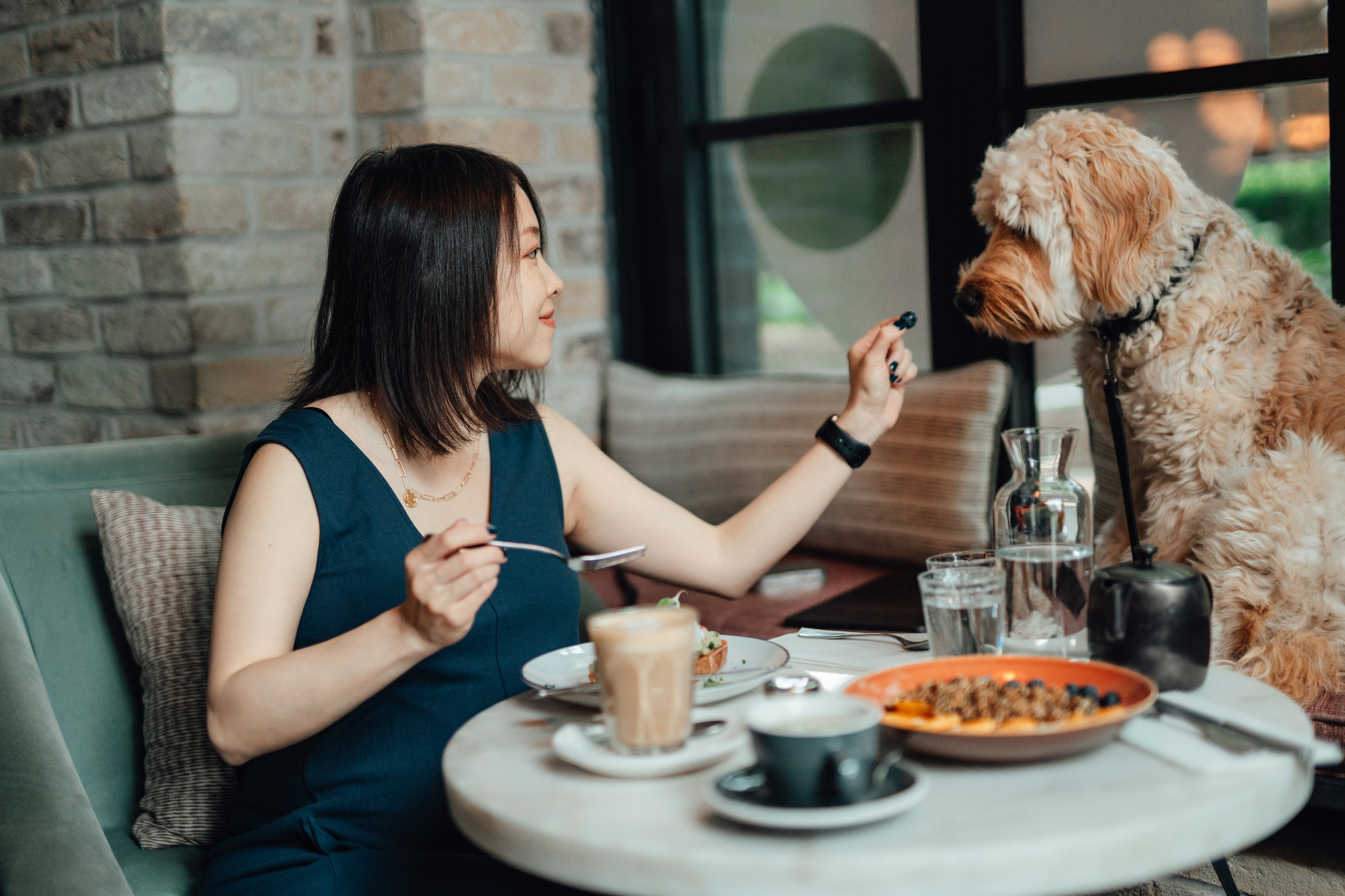 25 Fun Things To Do When You're Alone Besides Watching TV