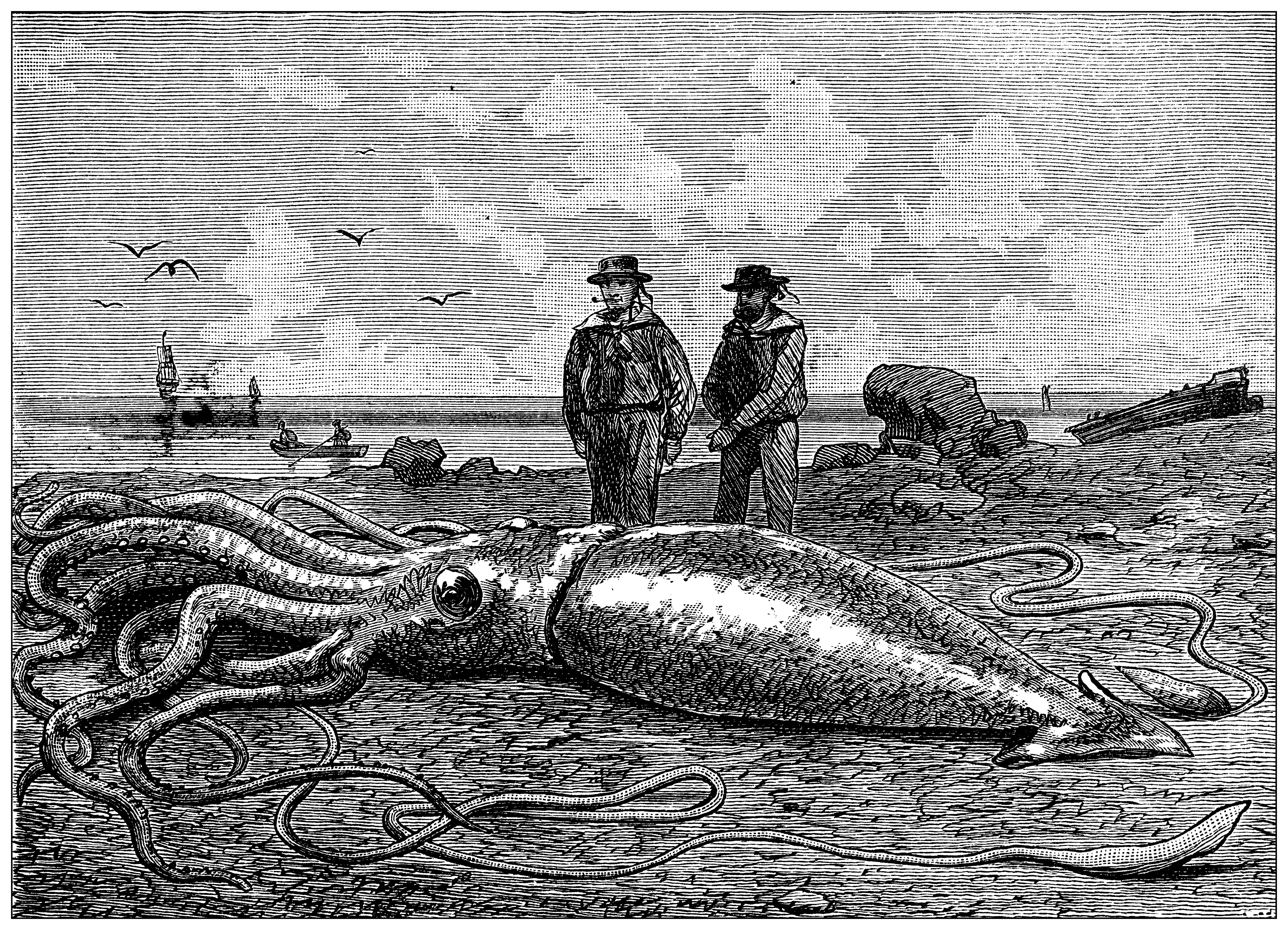 The most enchanting sci-fi movie of 2021 reveals a lasting scientific ...