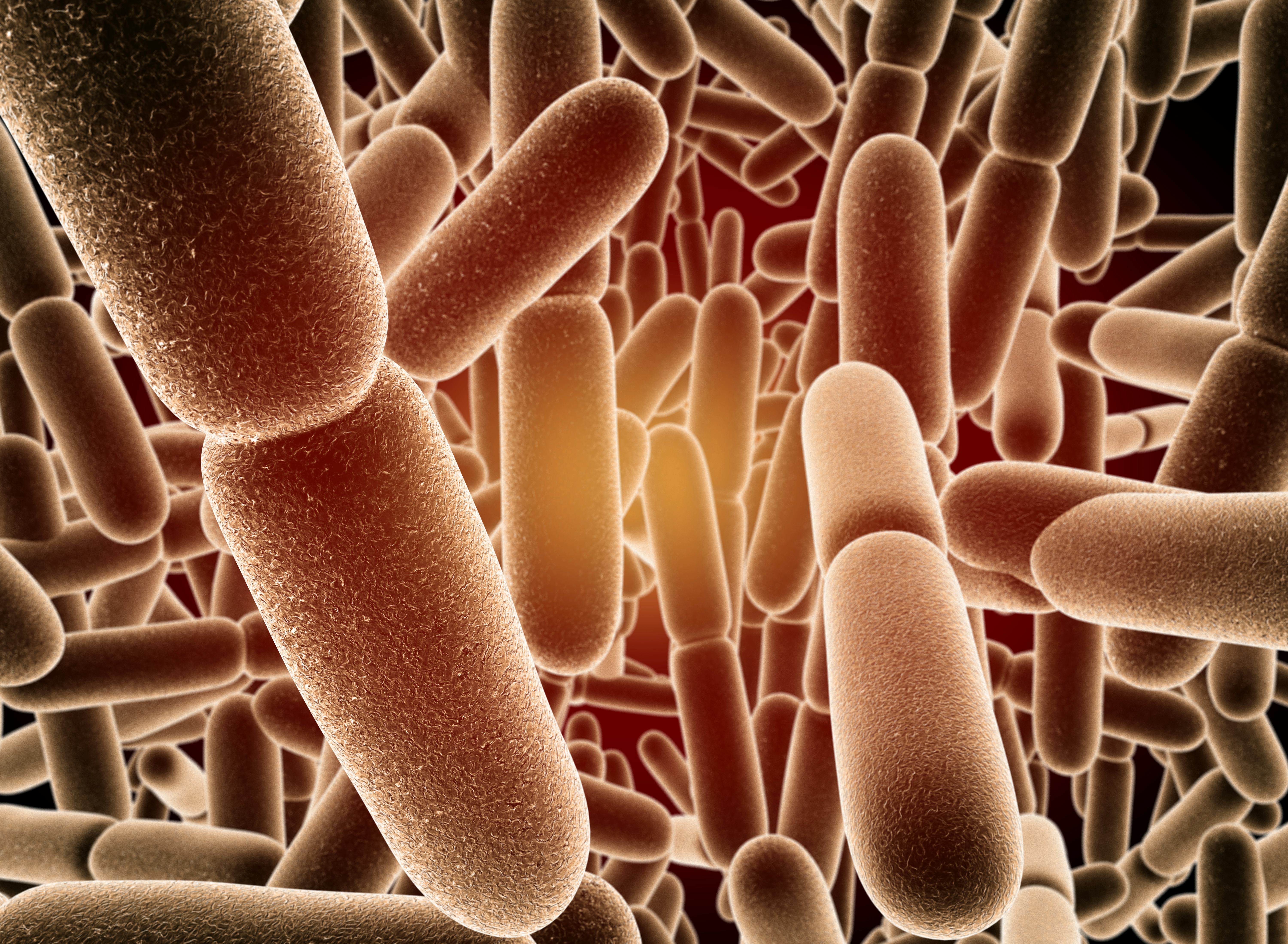 Did scientists find evidence of alien life 25 years ago?