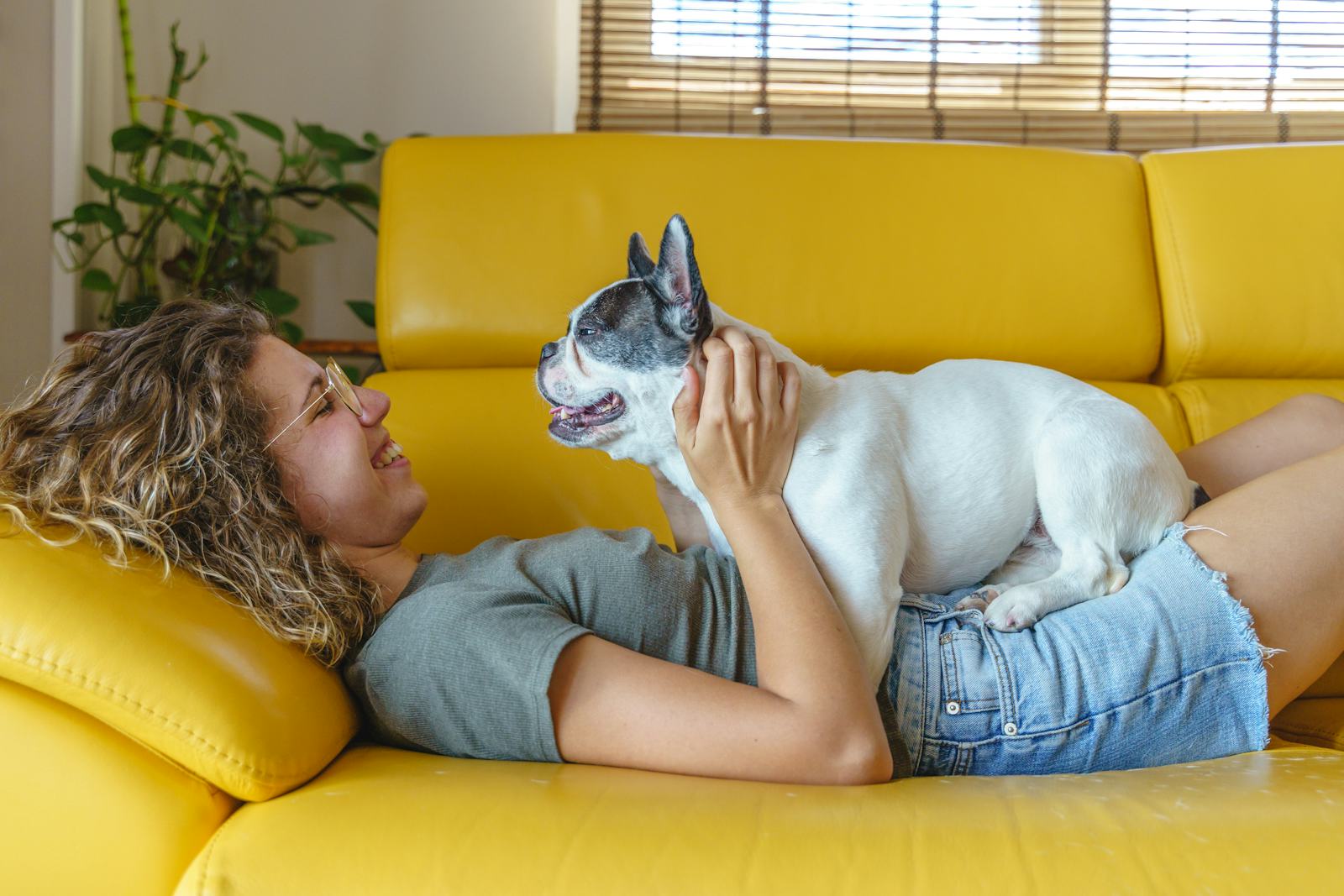 How To Celebrate National Lazy Day 11 Effortless Ways How To Celebrate National Lazy Day 11 Effortless Ways
