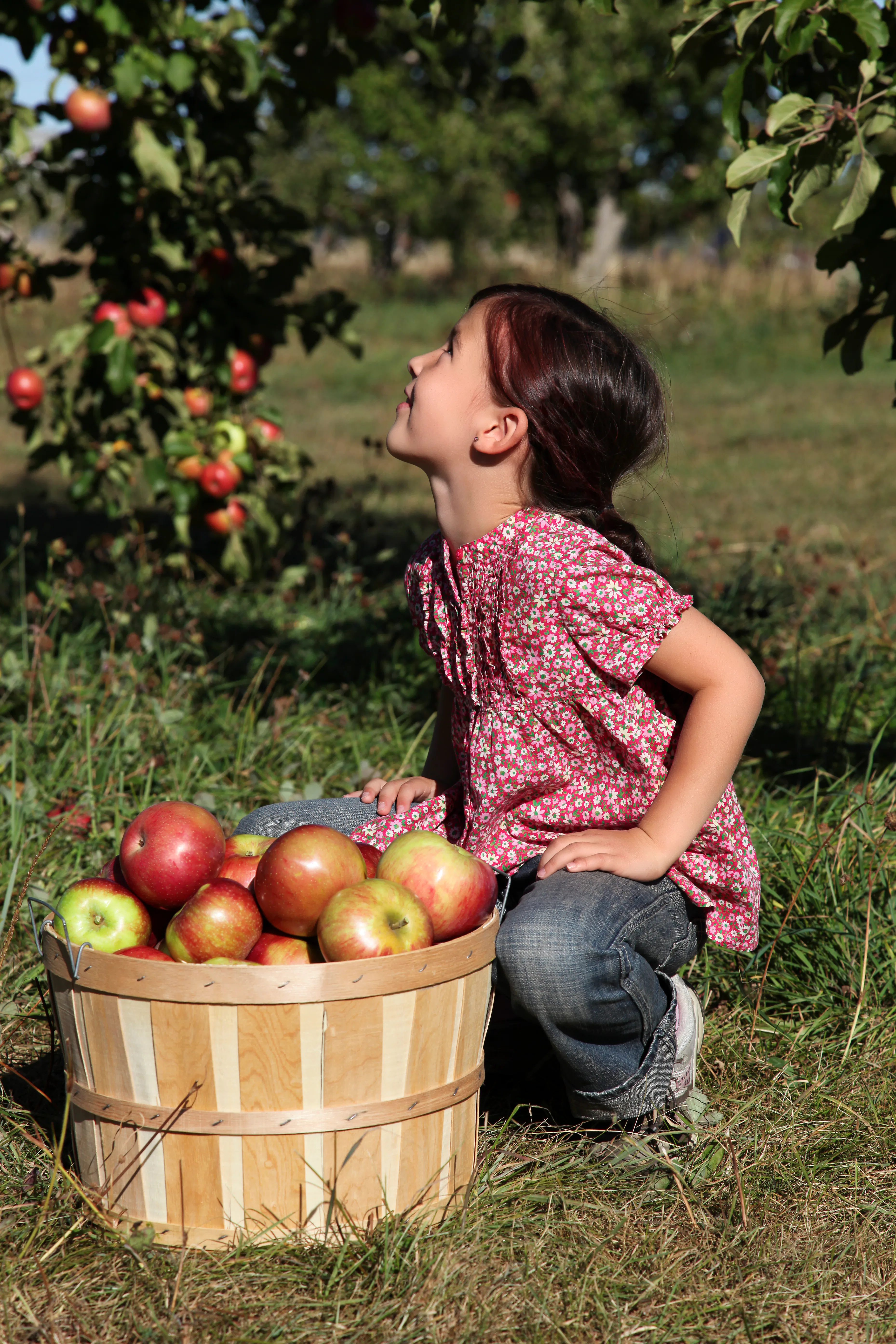 12 Fall Bucket List Ideas For The Whole Family